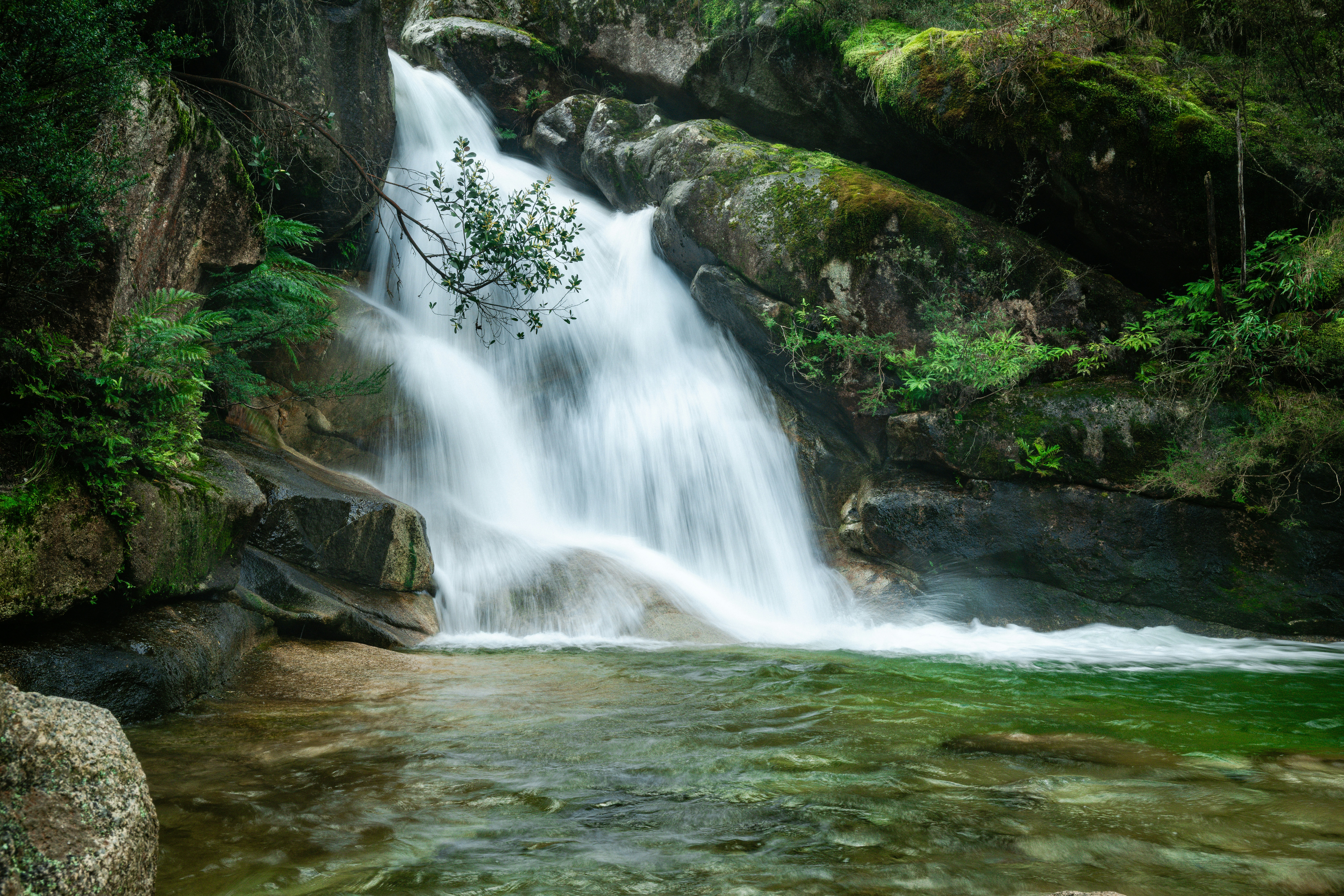 Cascade Whisper: A Quiet Fall Through Moss and Rock