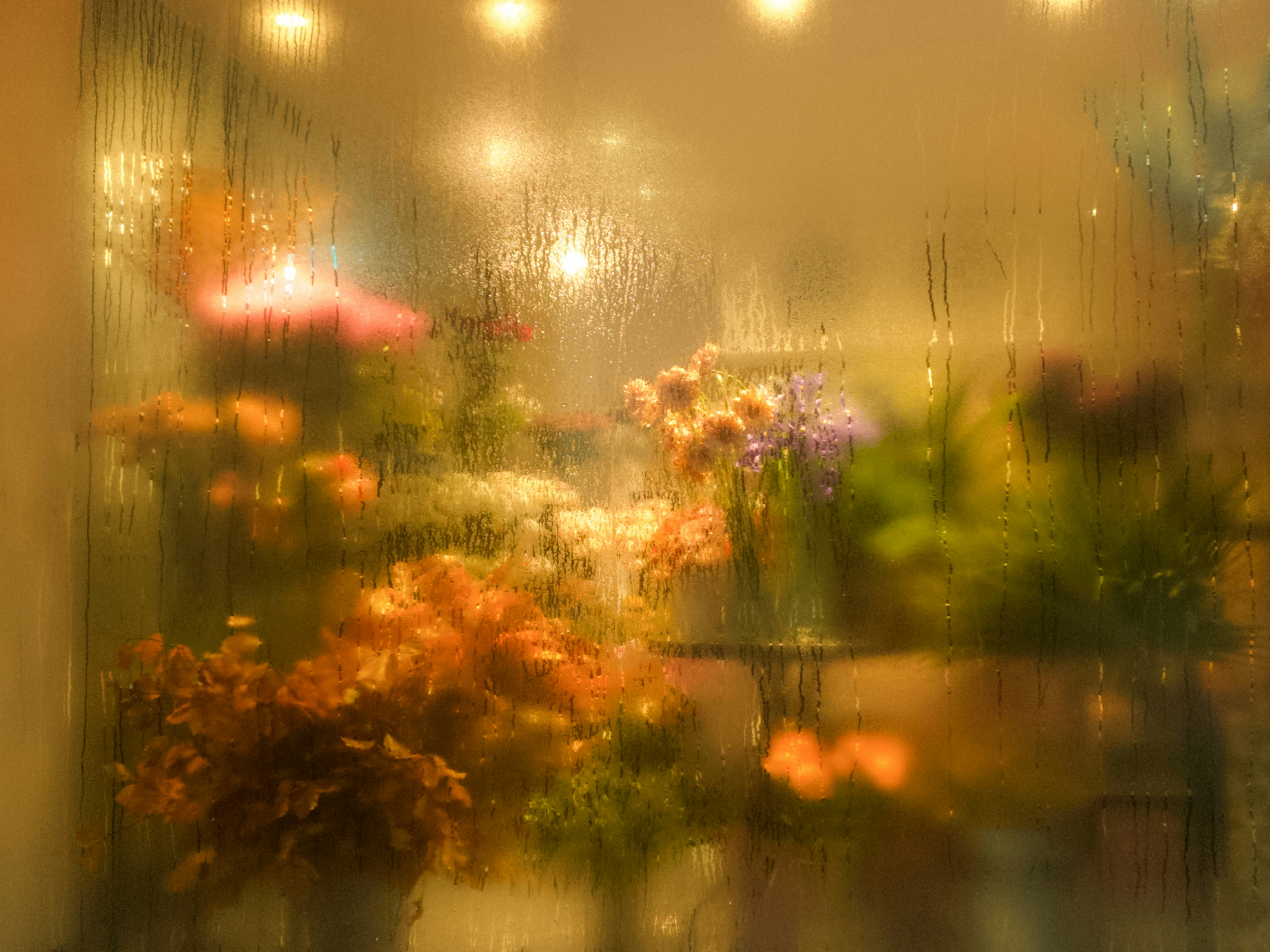 Vapor-Soft Floral Window: Warm Blur in a Humid Display