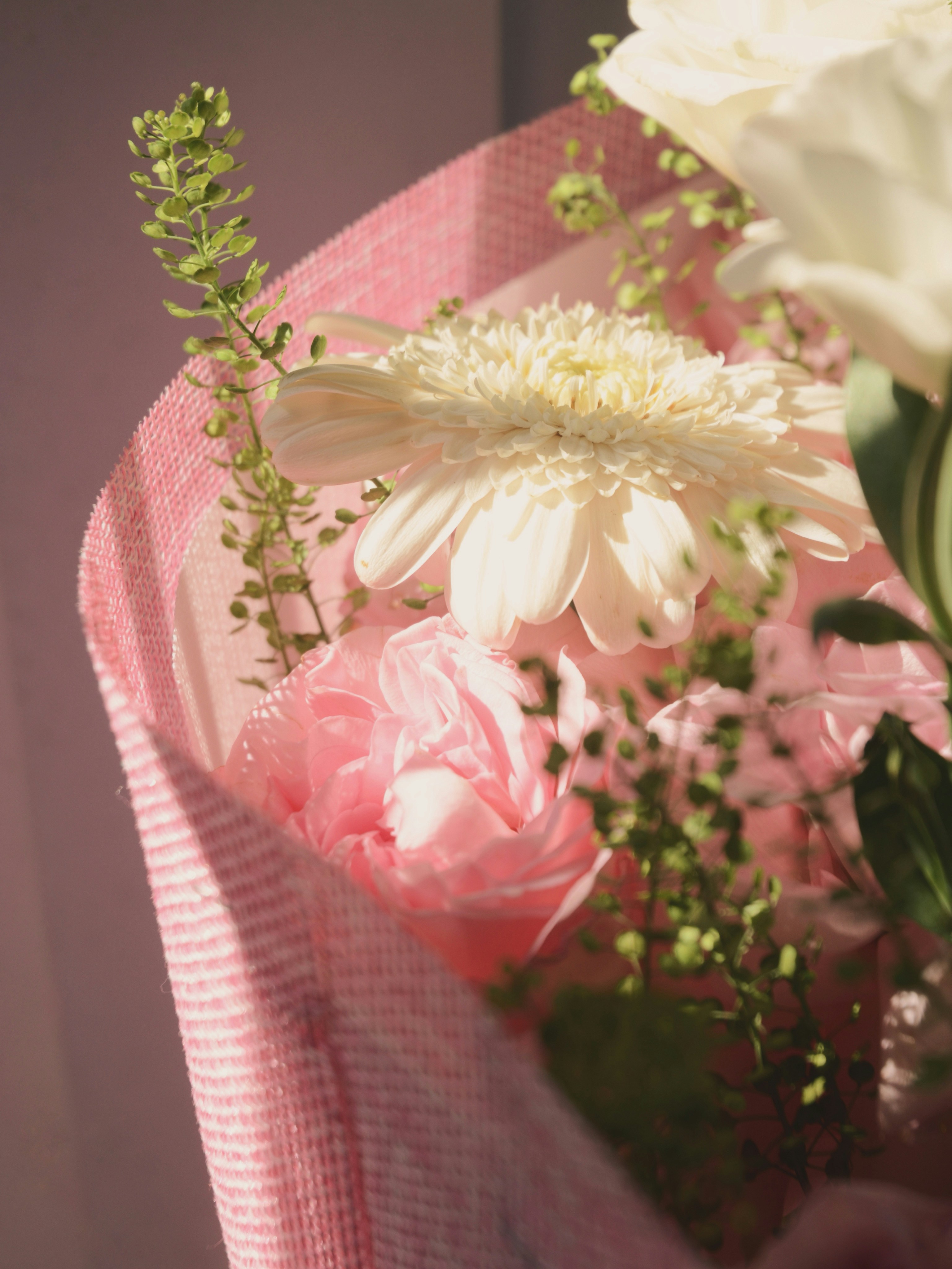 Close-up bouquet with pale petals and pink wrap, softly lit to emphasize textures and delicate greens. A floral arrangement with white and pink blooms.