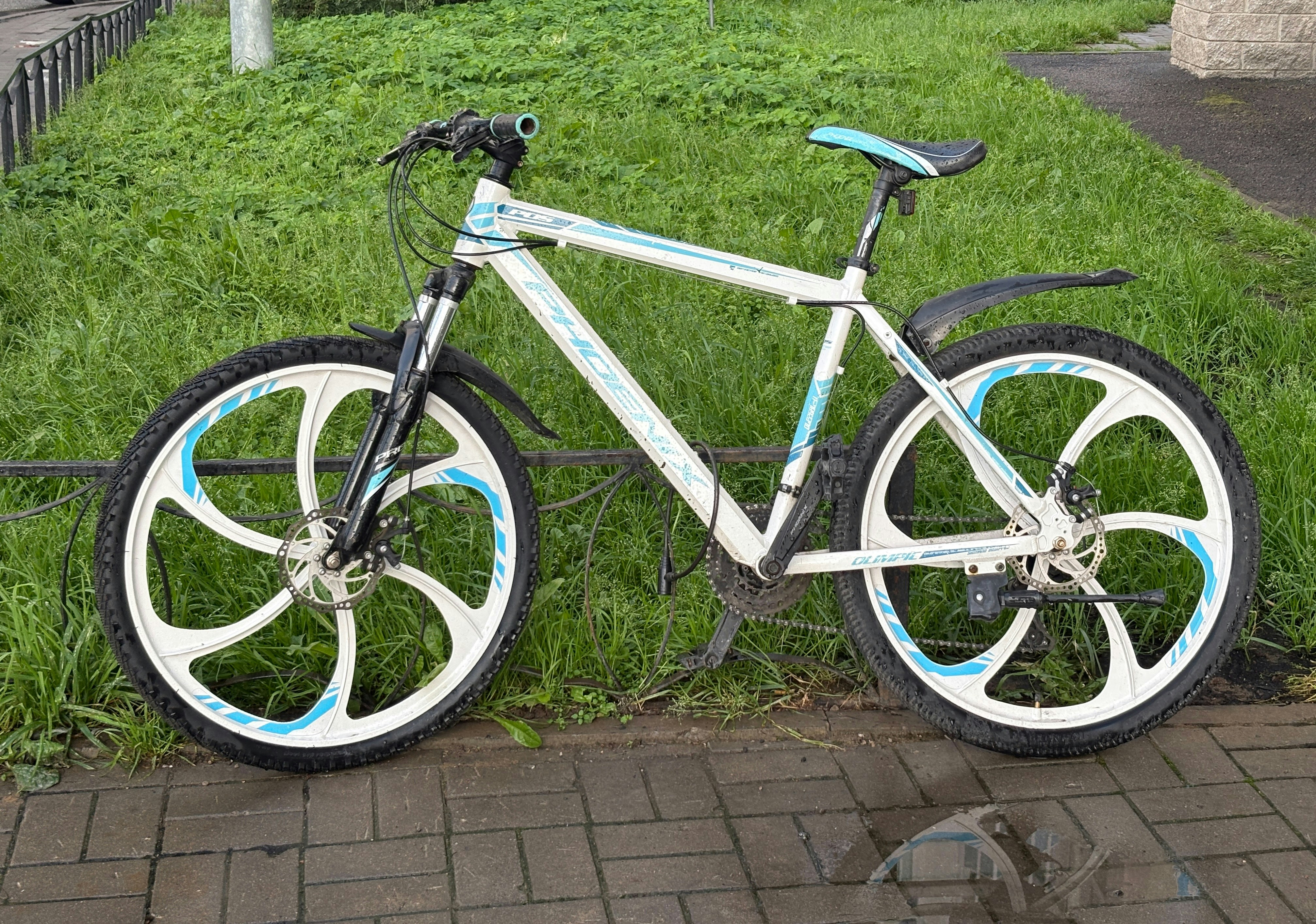 White mountain bike with blue accents resting on a grassy verge