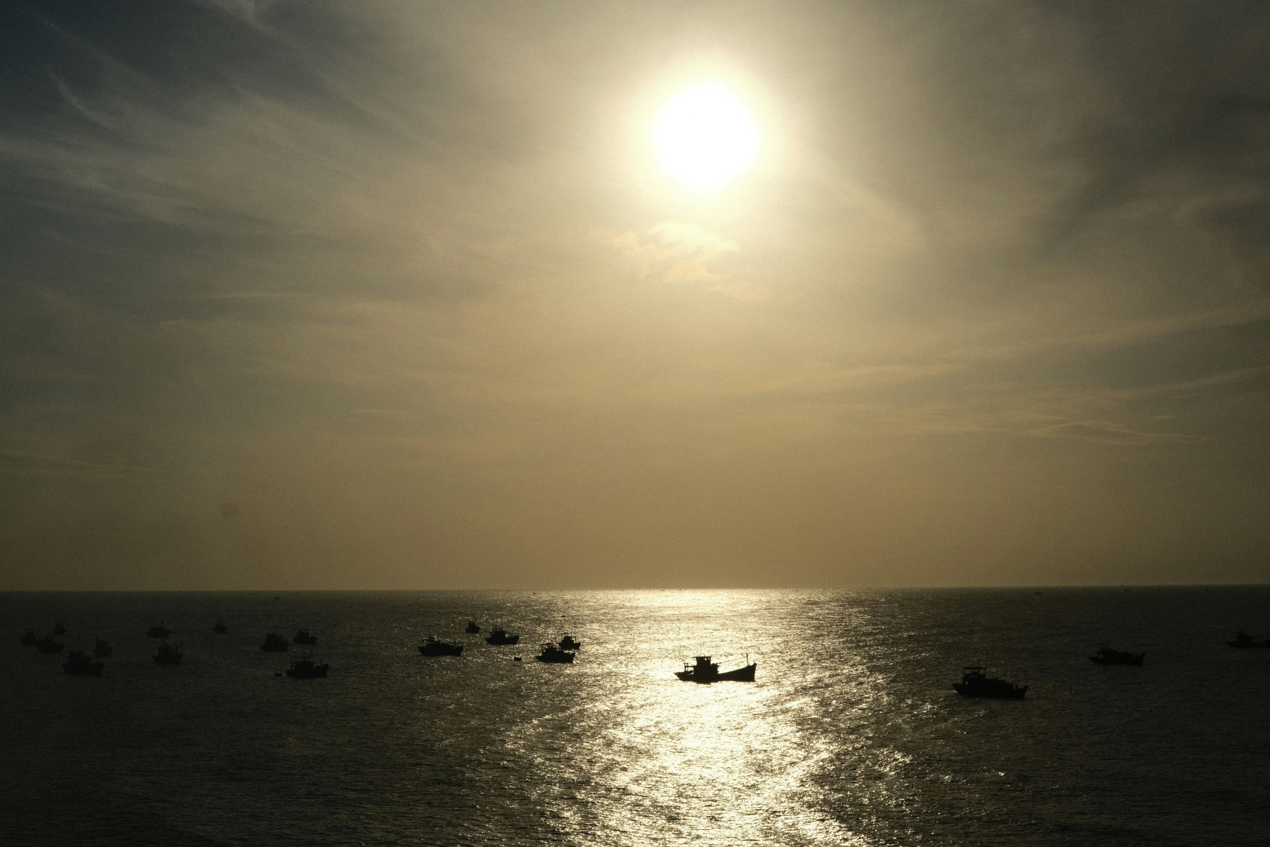 Sunlit Harbor: Boats Quietly Gather at Dusk