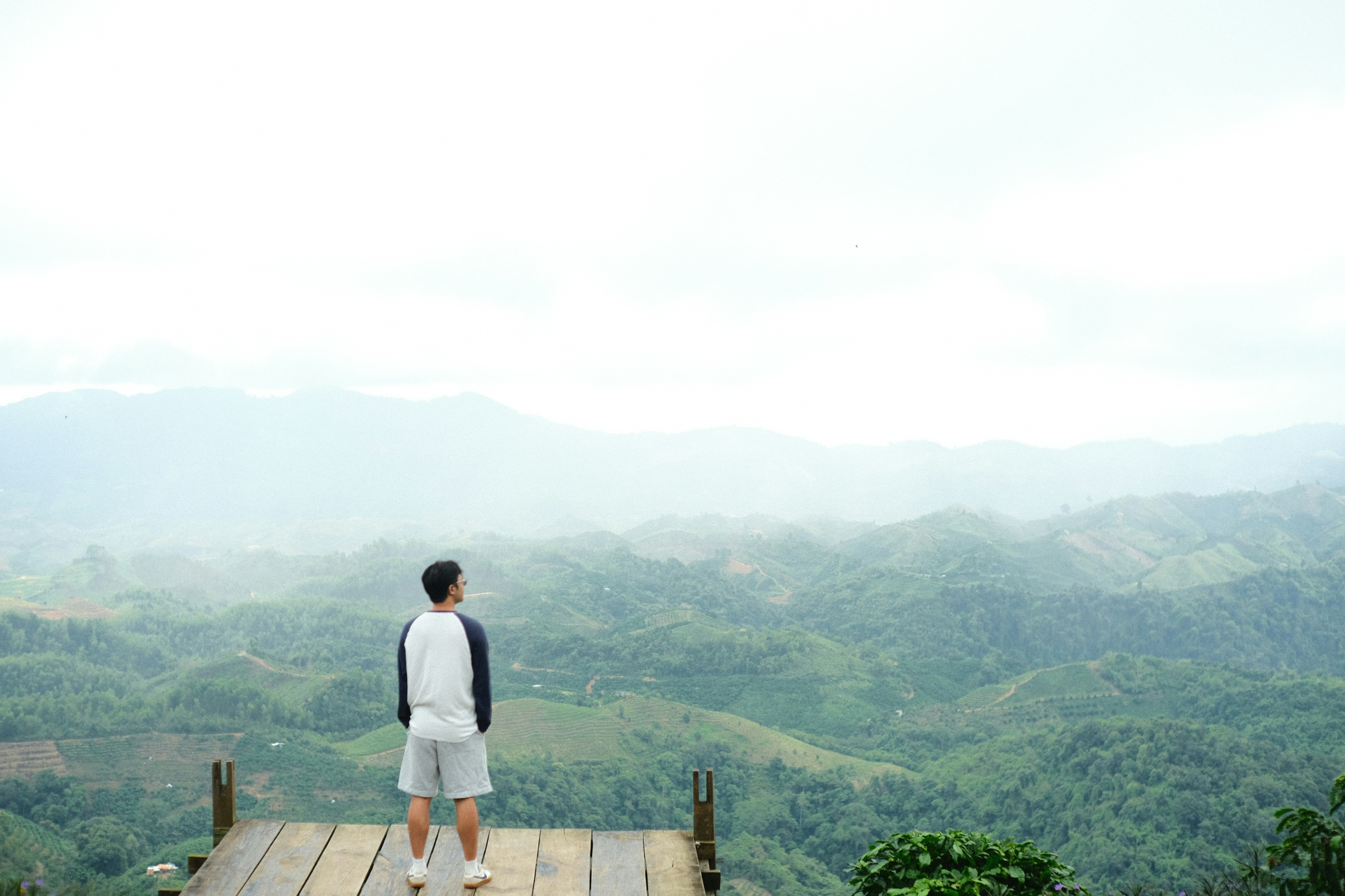 On the Edge: A lone figure gazing over terraced hills from a wooden deck