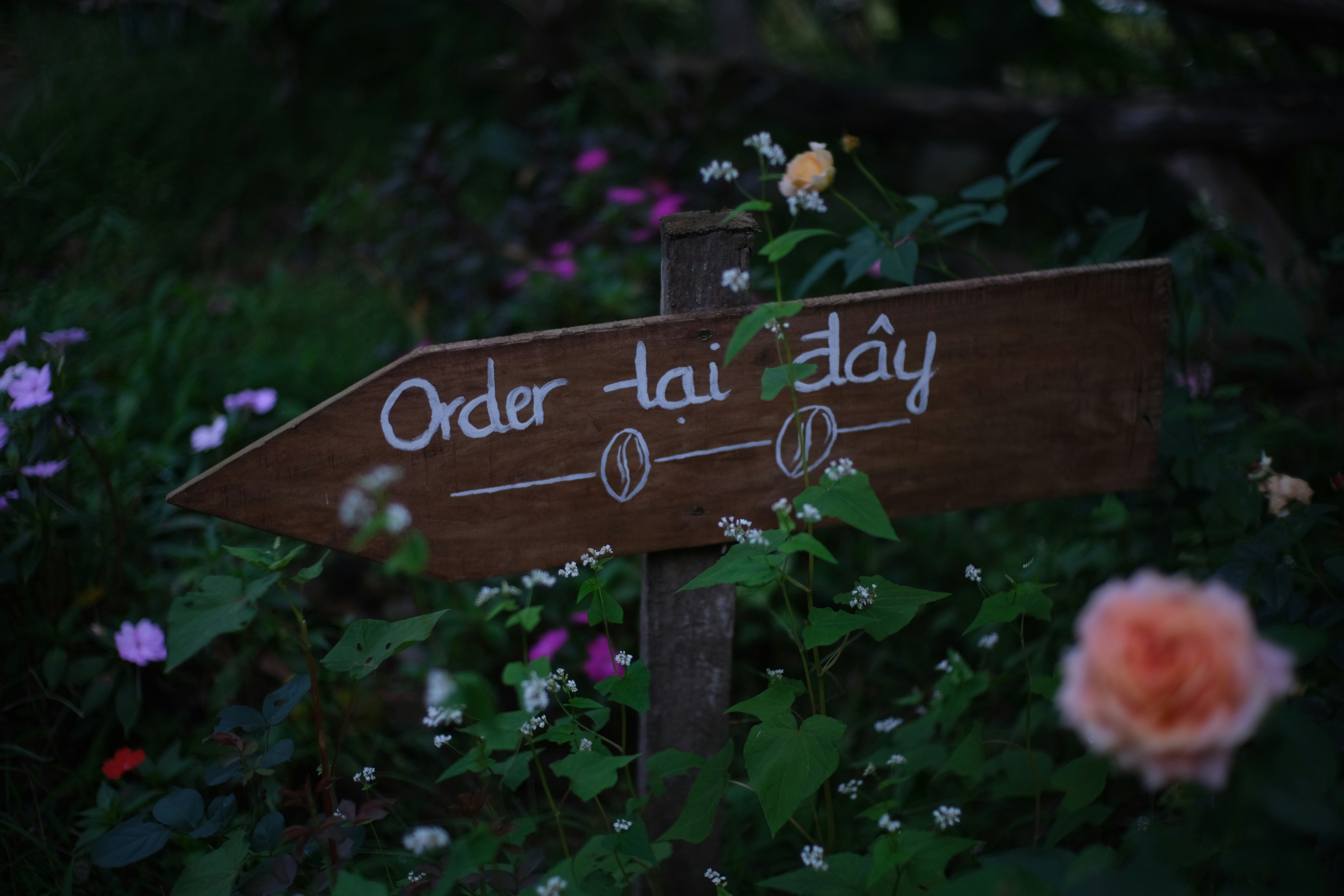 Whimsical Sign in a Secret Garden