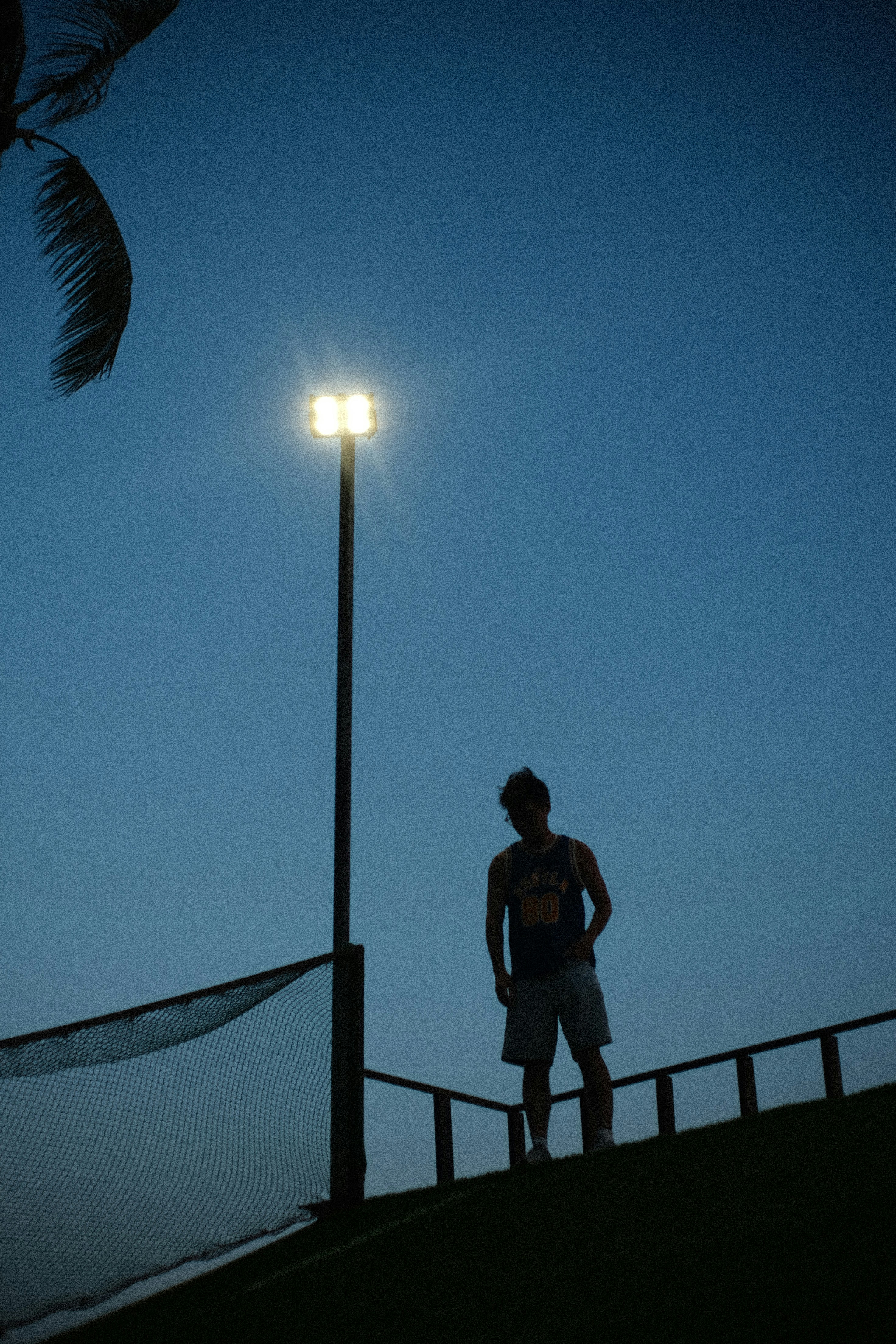 Silhouette by the Lamp: A Quiet Evening at the Court