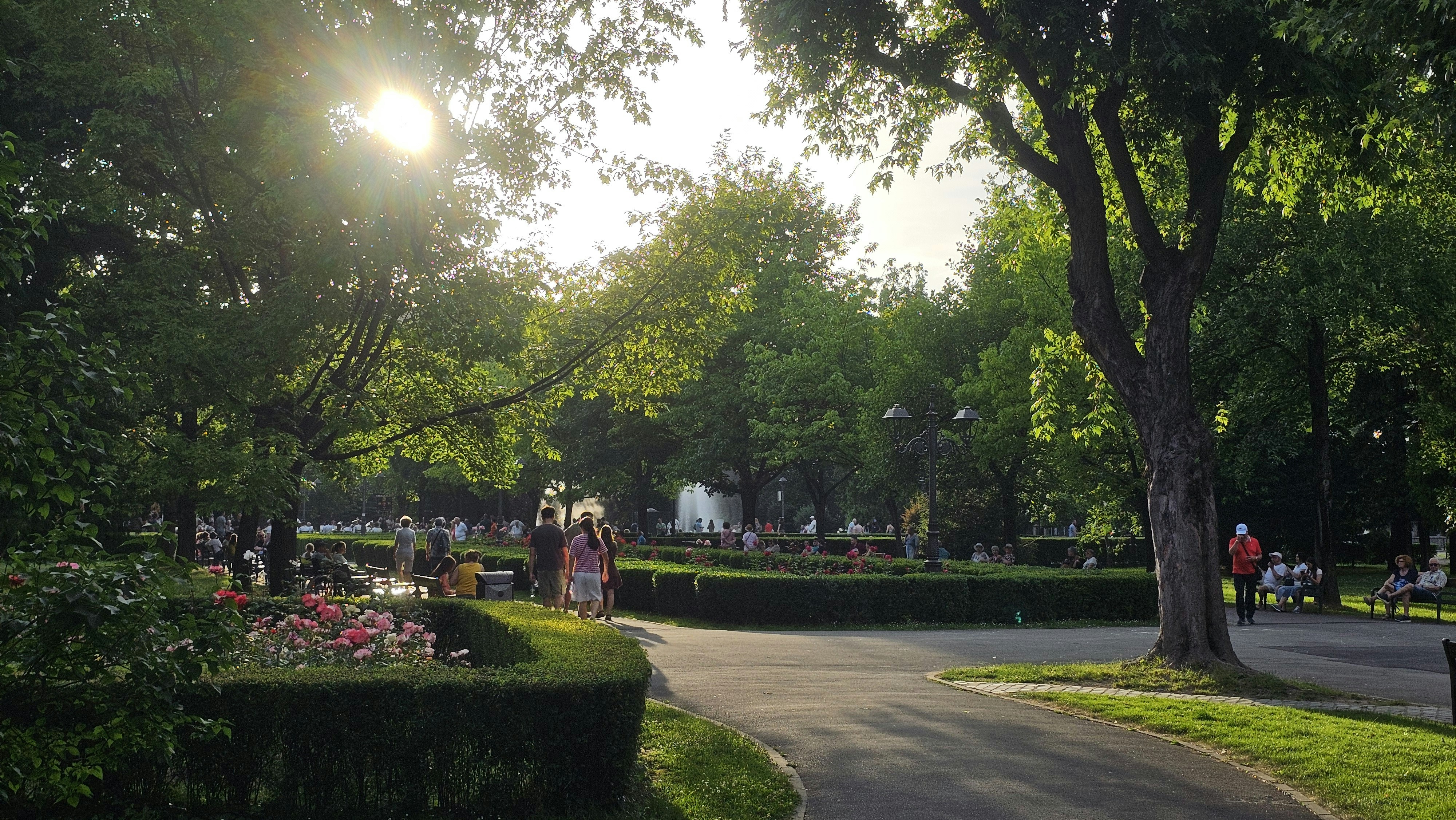 Sunlit Path Through a Quiet City Park