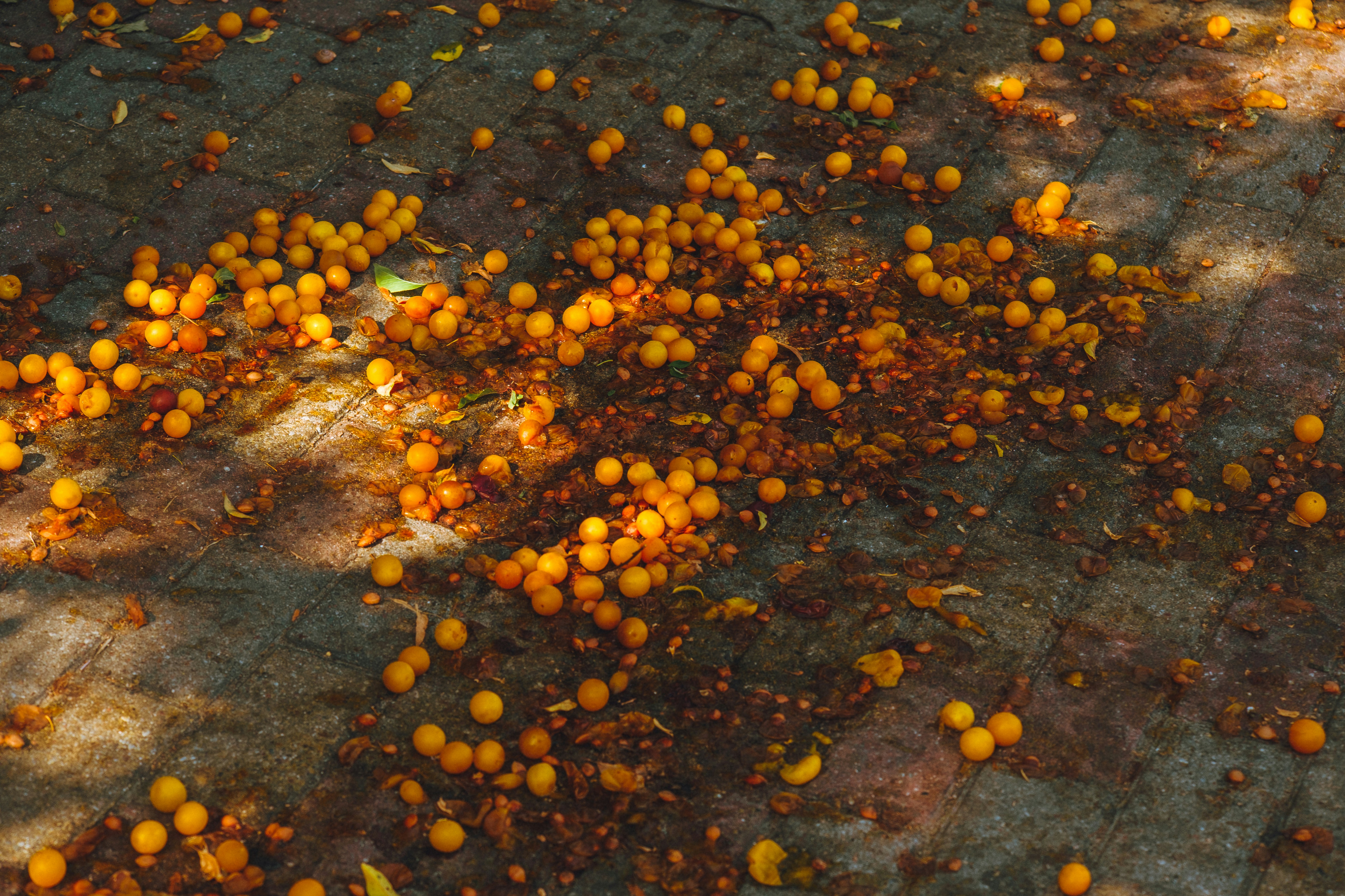 Amber Orbs on a Weathered Path