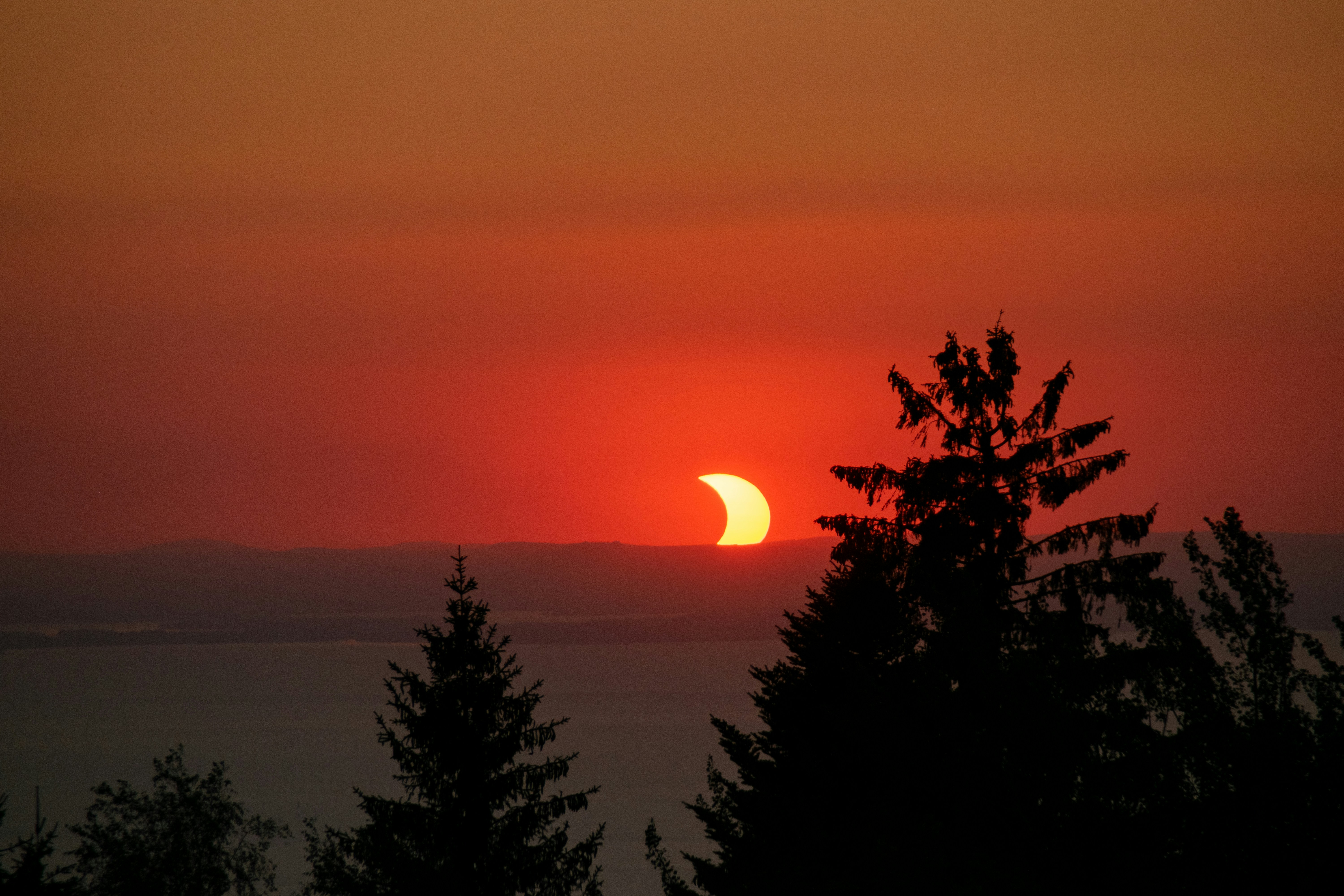 Partial Solar Crescent Over a Dark Forest Horizon