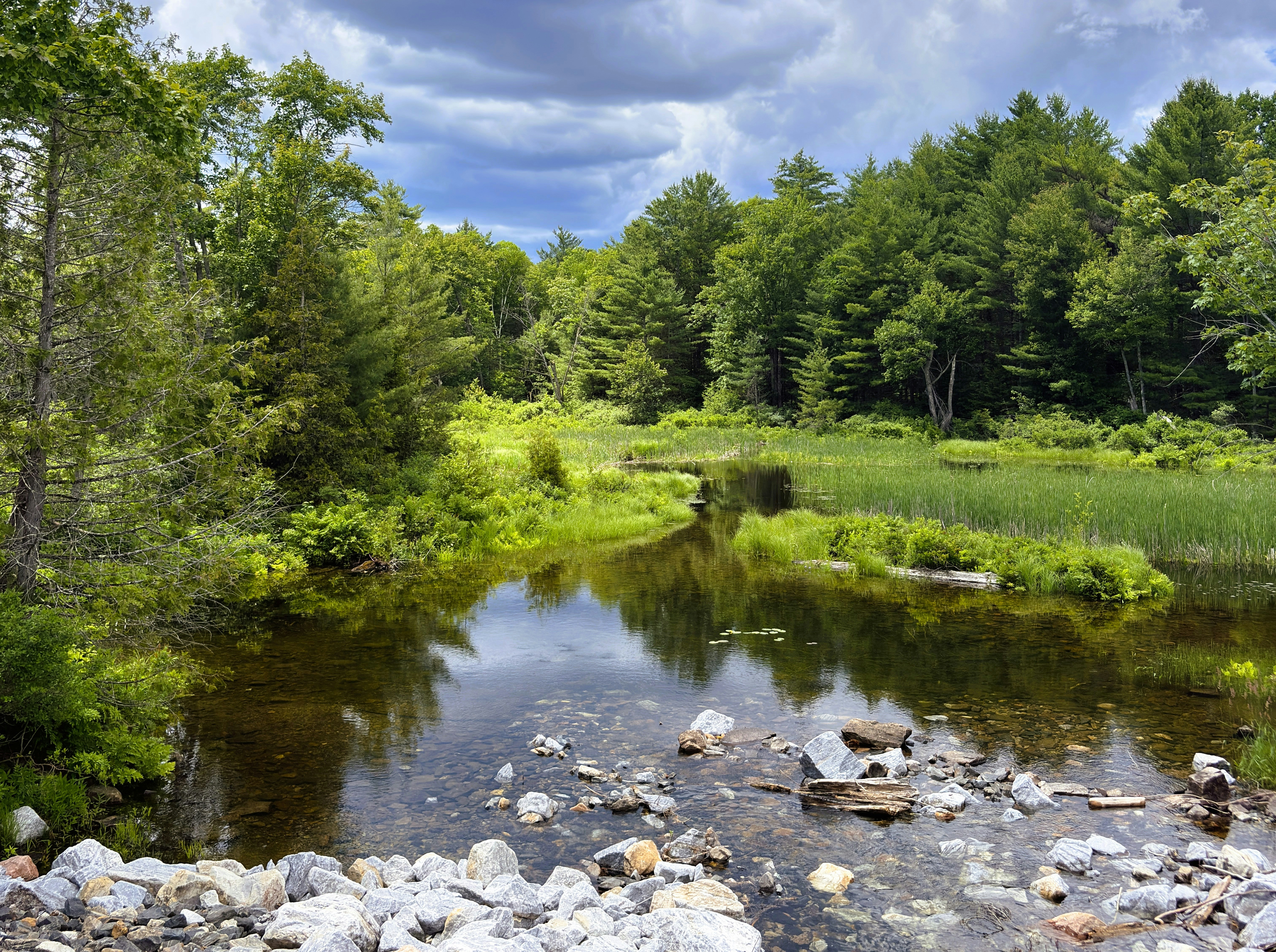 Sunlit river bend with clear water and rocky foreground, surrounded by lush green forest.