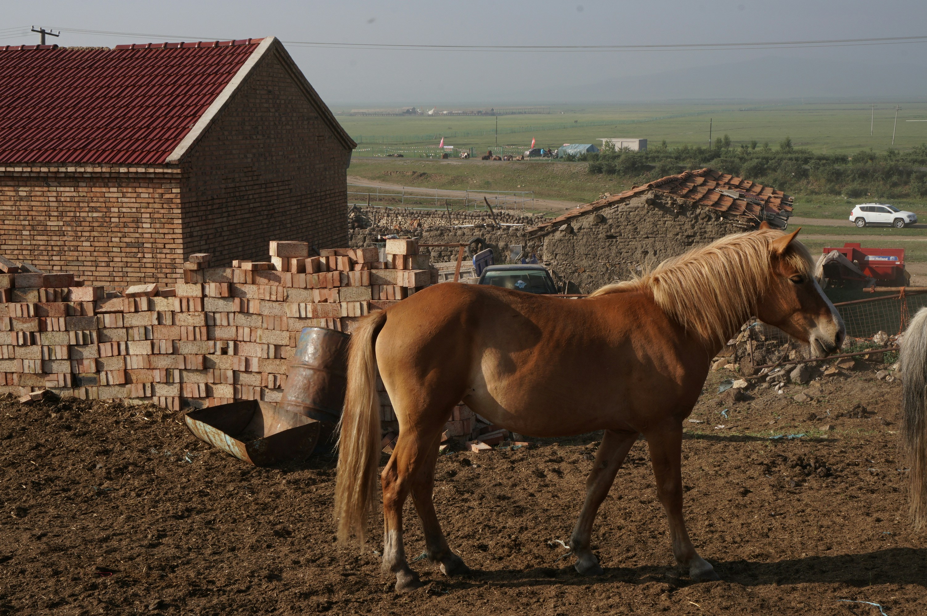 Quartered Farmyard at Dusk: A Chestnut Mare Amid Bricks and Dust