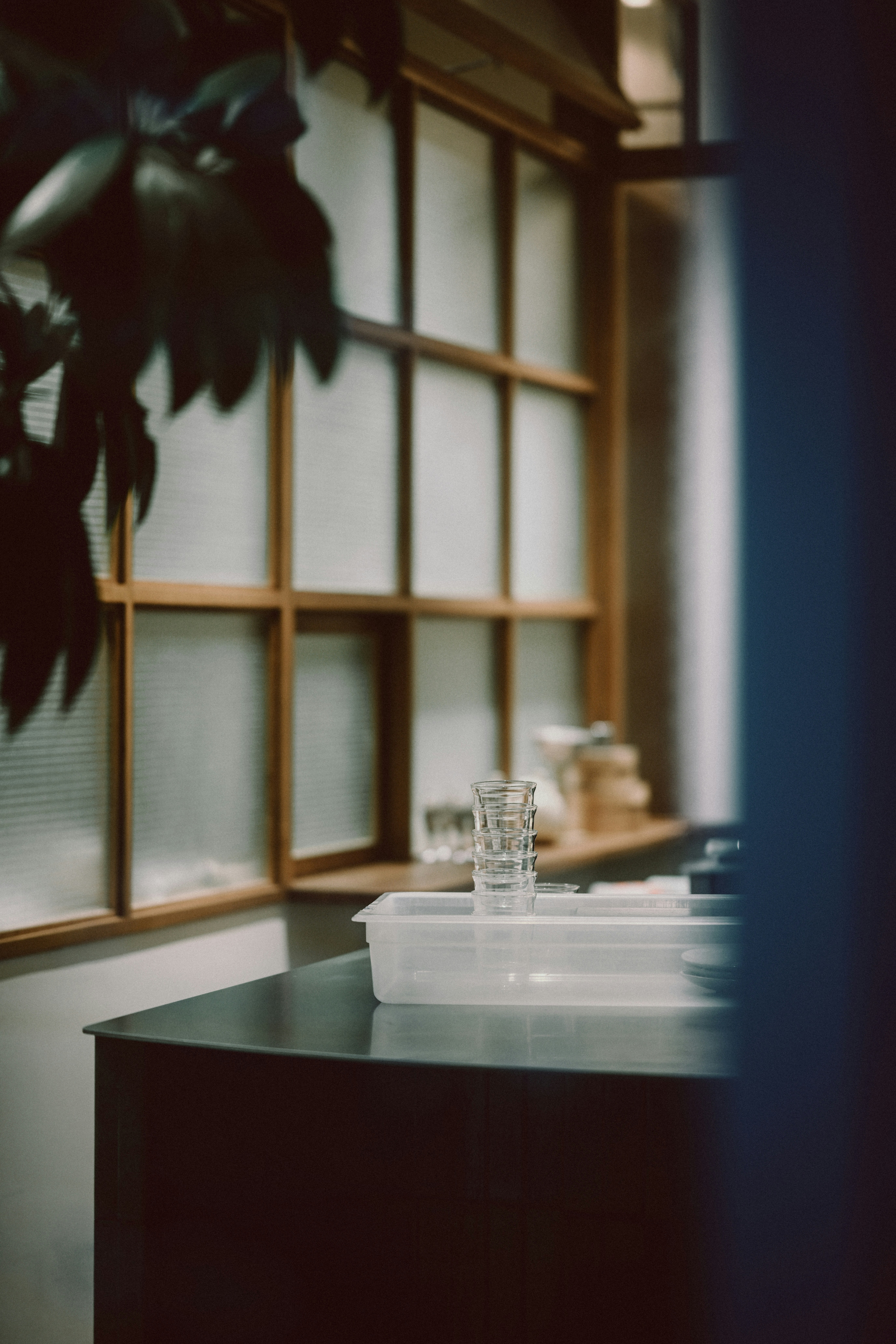 Soft Window Light Over a Quiet Workspace