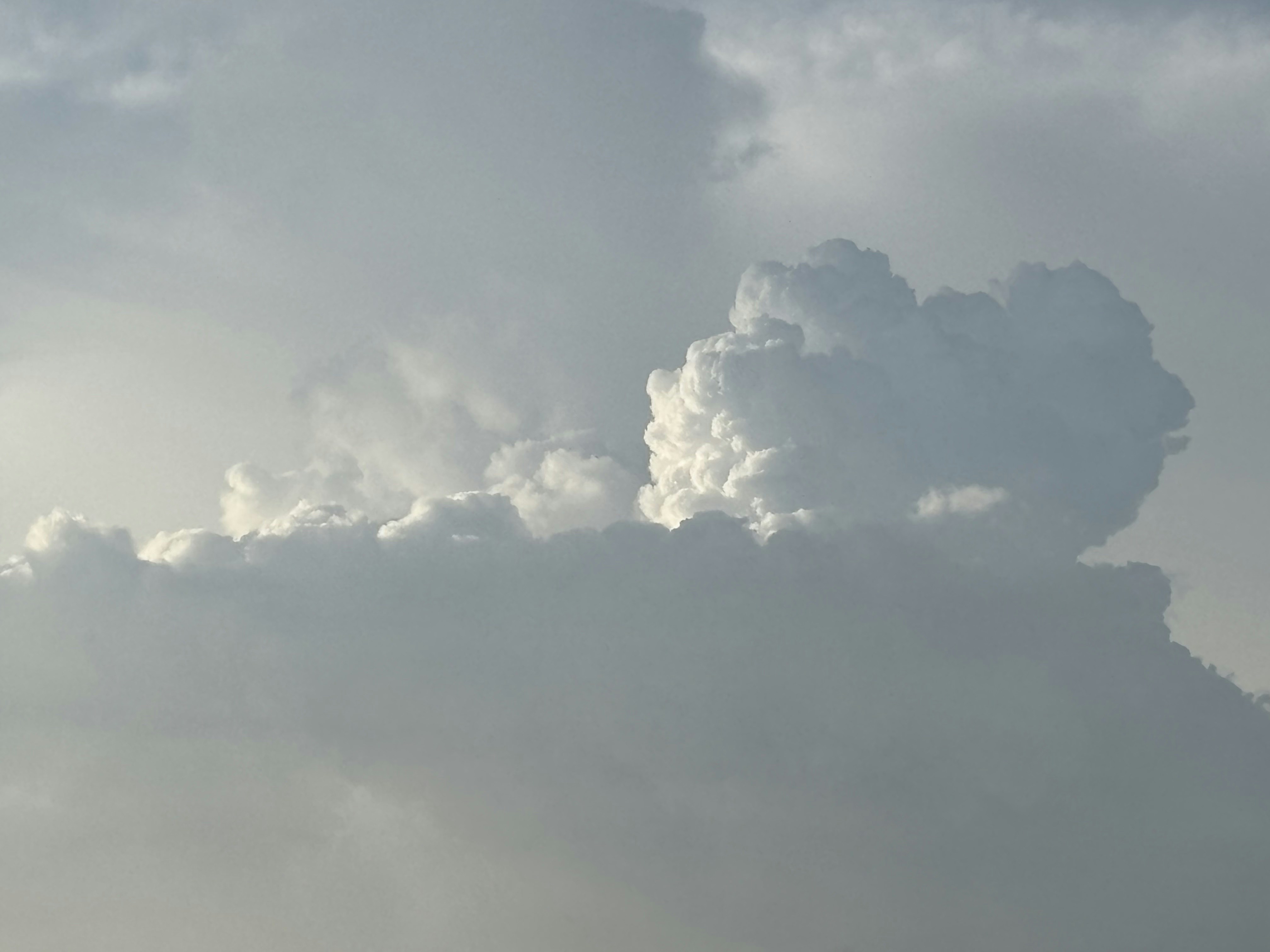 Soft Dreamscape: Sunlit Cloudscape with Gentle Backlight