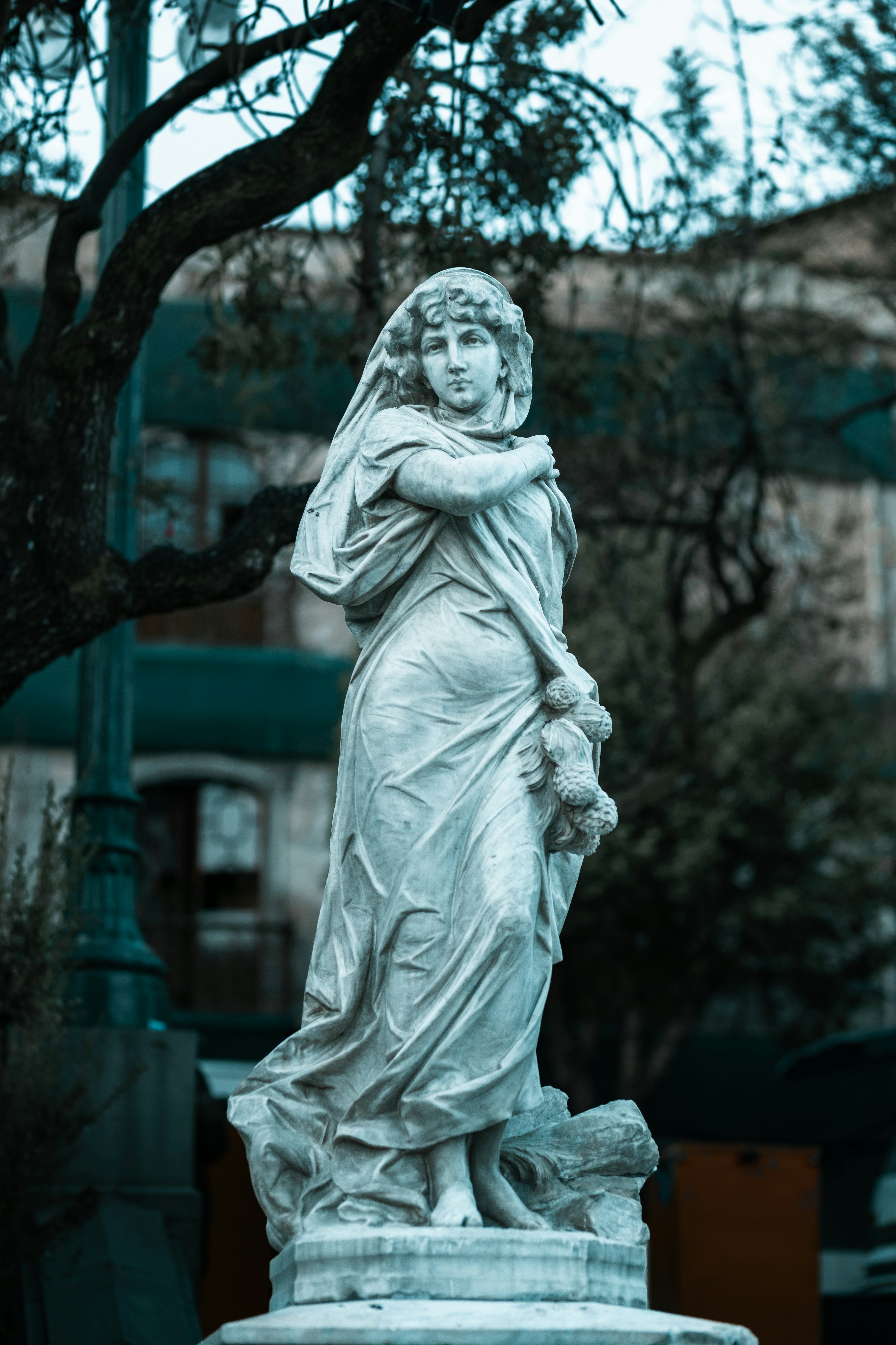 Veiled Guardian: Marble Statue Beneath Twilight Branches