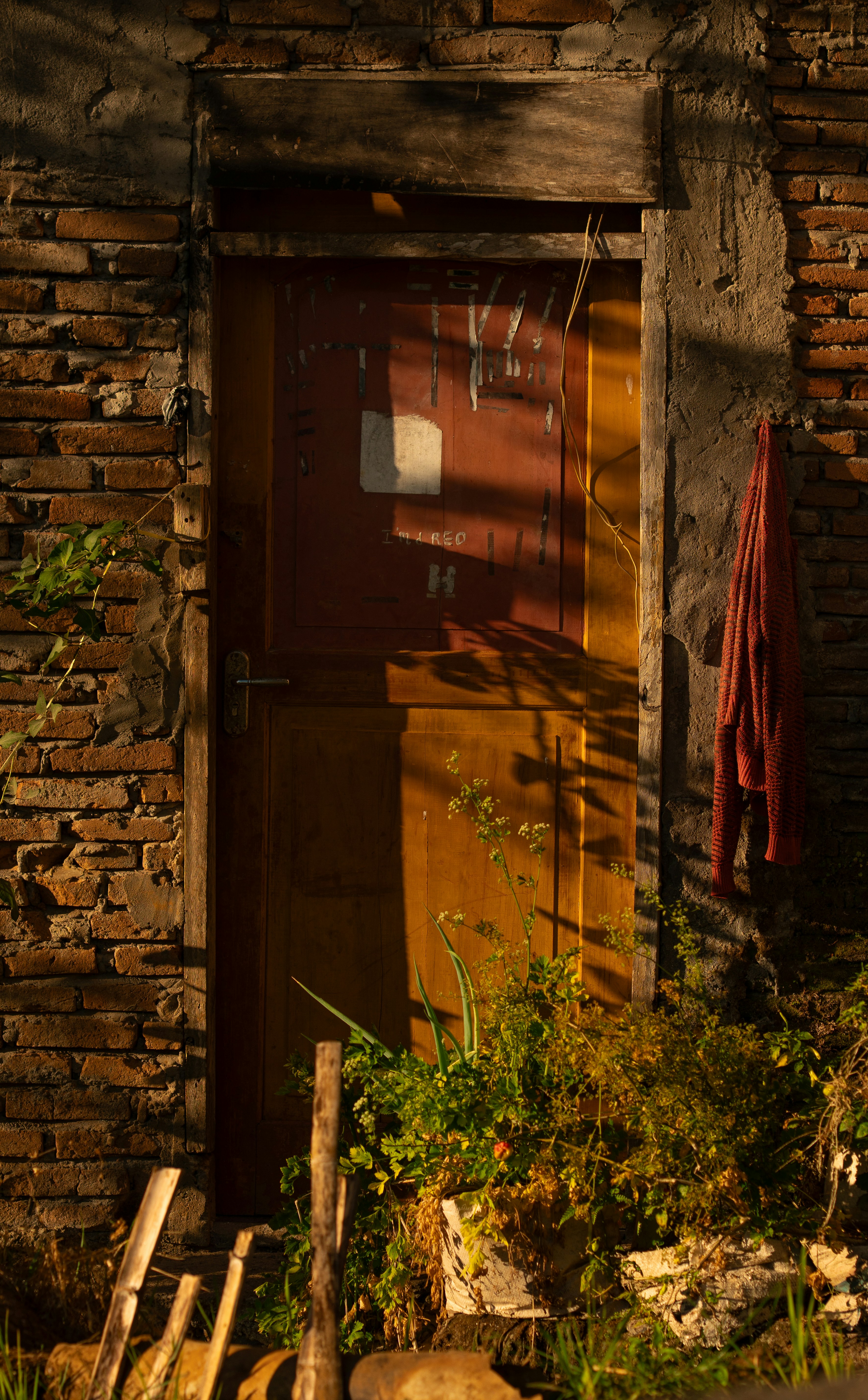 Sunlit wooden door framed by weathered brick with overgrown plants at the base and a hanging red cloth to the right; warm, rustic scene suggesting abandonment.