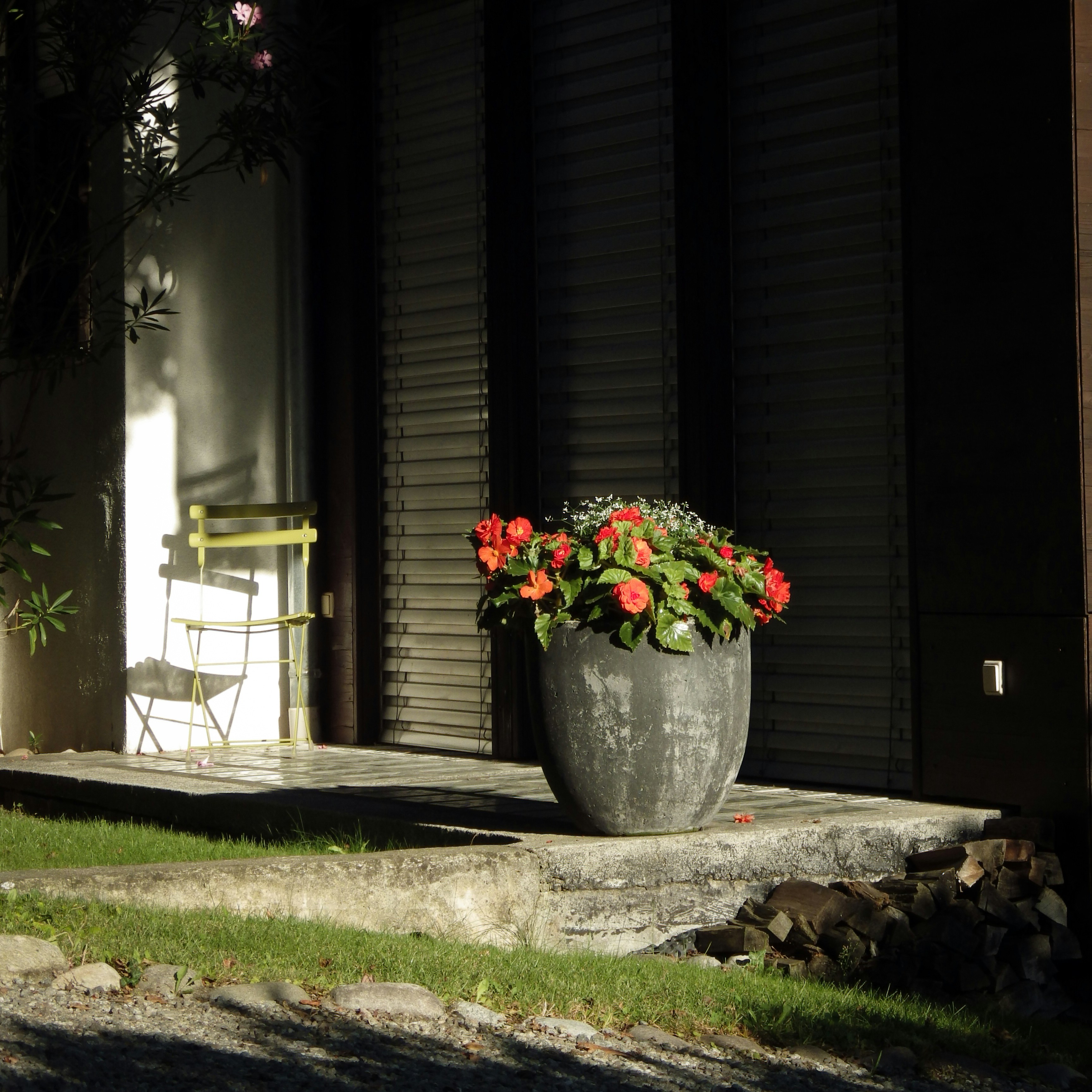 Sunlit Terrace with Floral Urn and Lime Chair