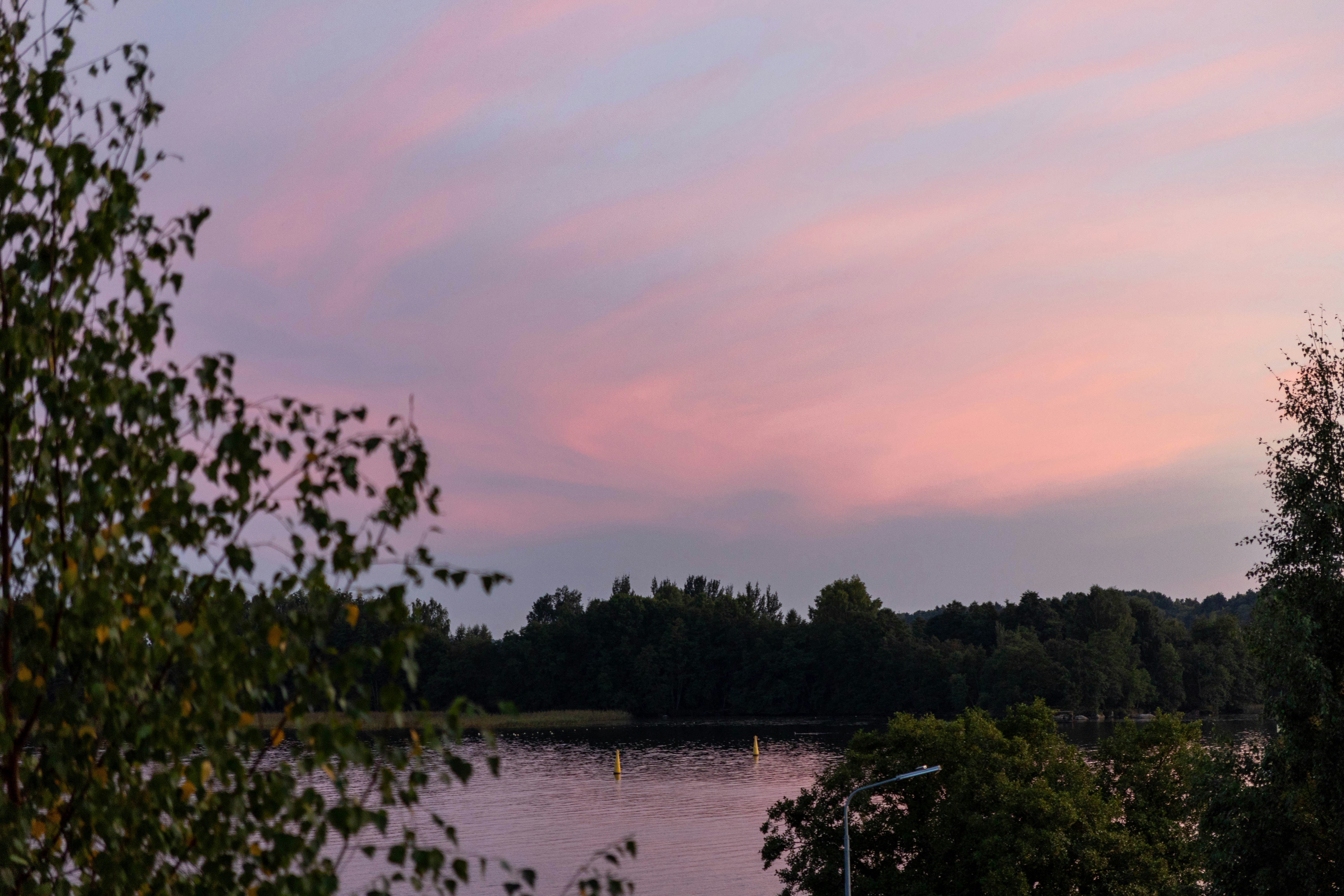 Soft pink sunset over a calm lake framed by trees along the shore; a tranquil landscape scene emphasizing atmosphere and natural color.
