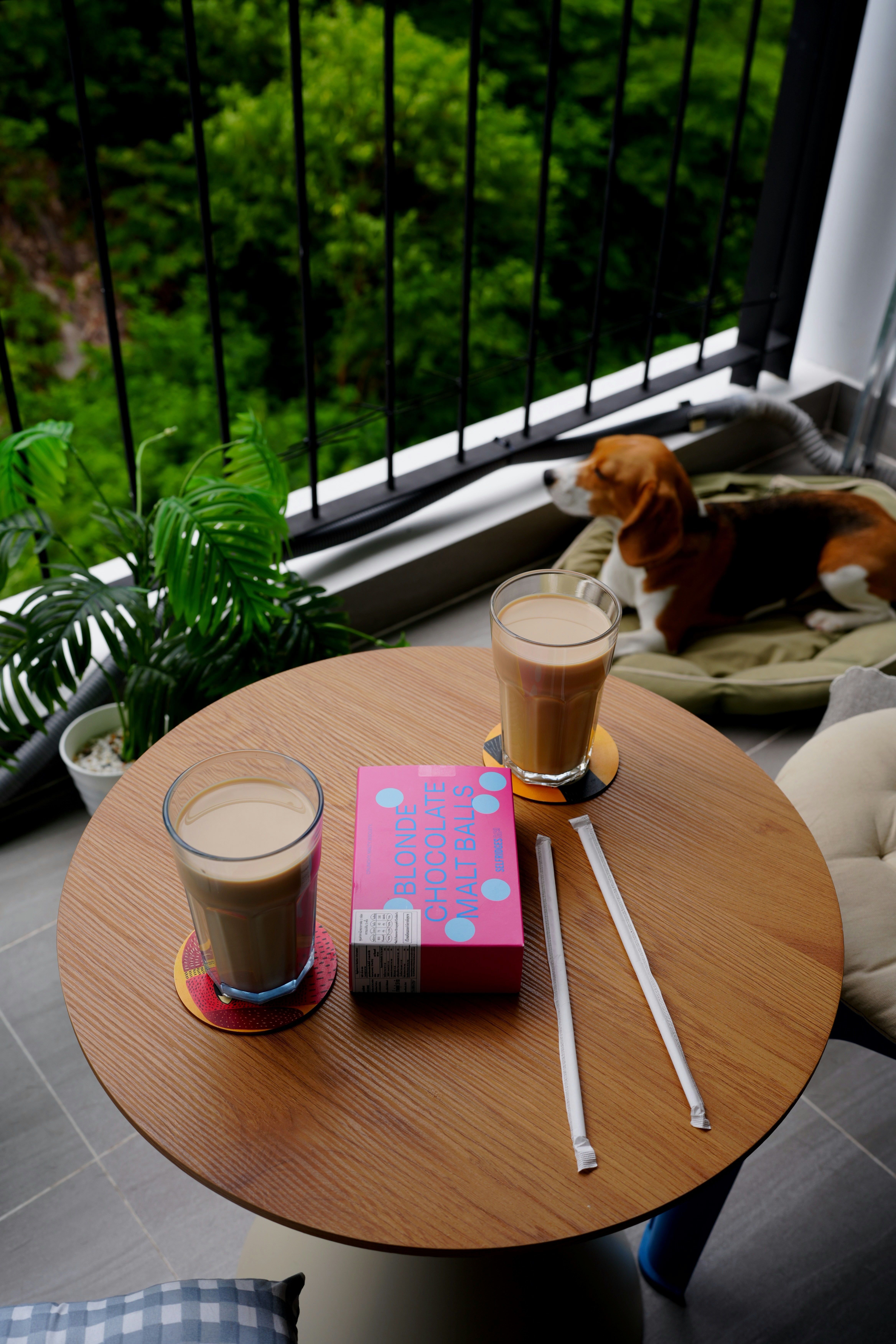 A Quiet Balcony Brunch: Beagles, Chocolate Milk, and Afternoon Light