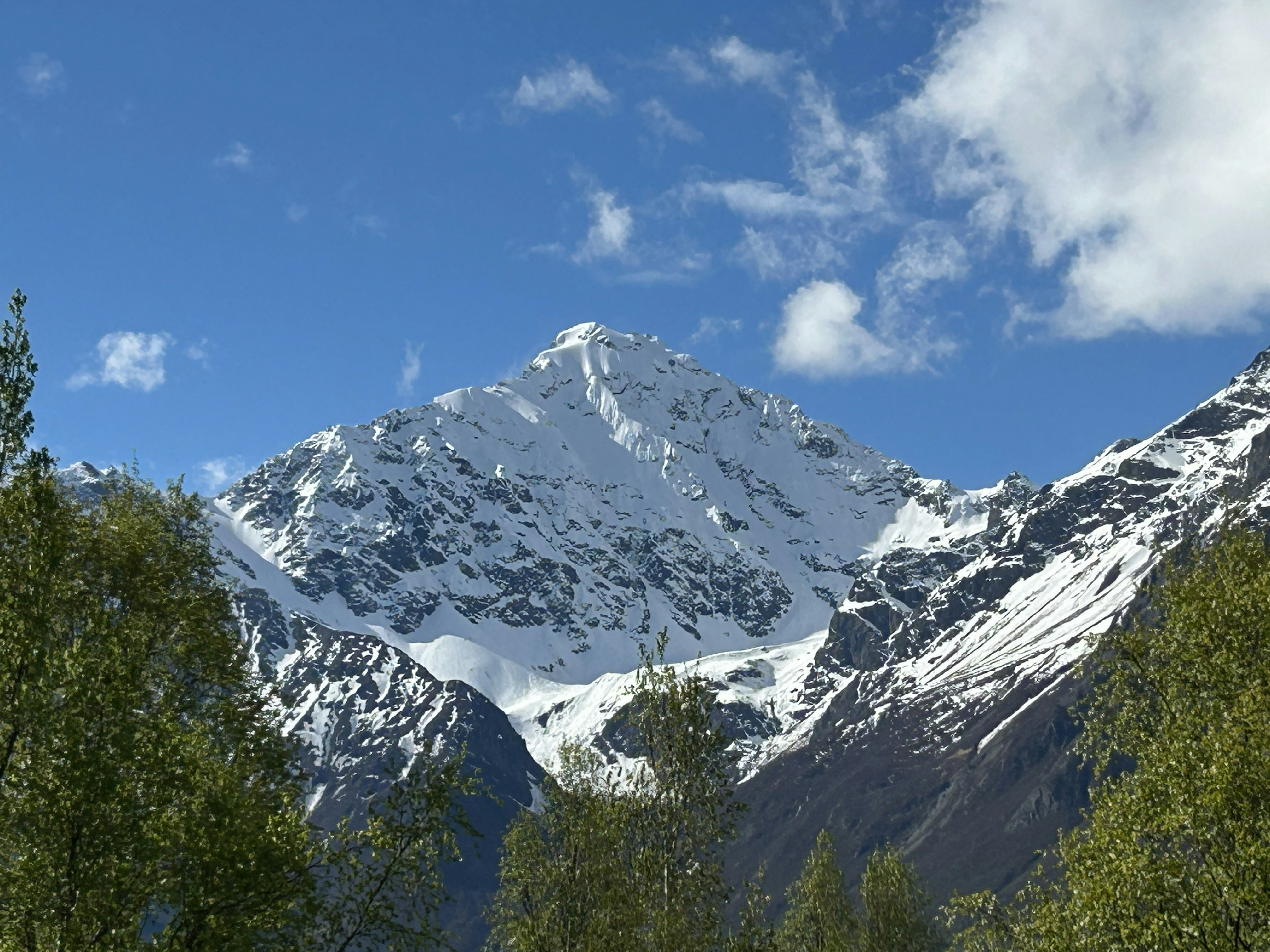 Snow-dusted mountain peak framed by evergreen forest against a bright blue sky, capturing a wide alpine landscape.