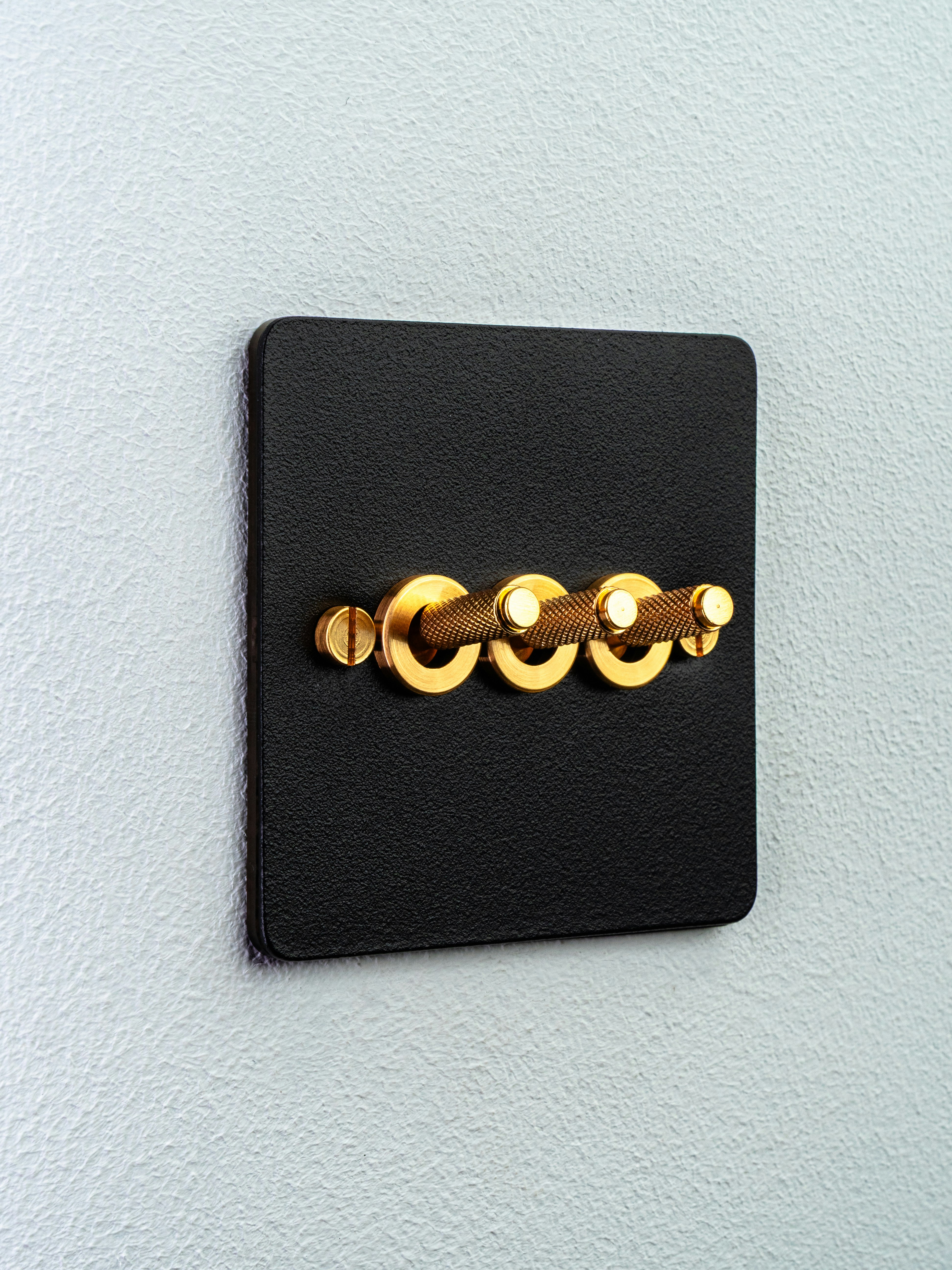 Gilded Barbell on a Matte Black Plate: Minimalist Precision