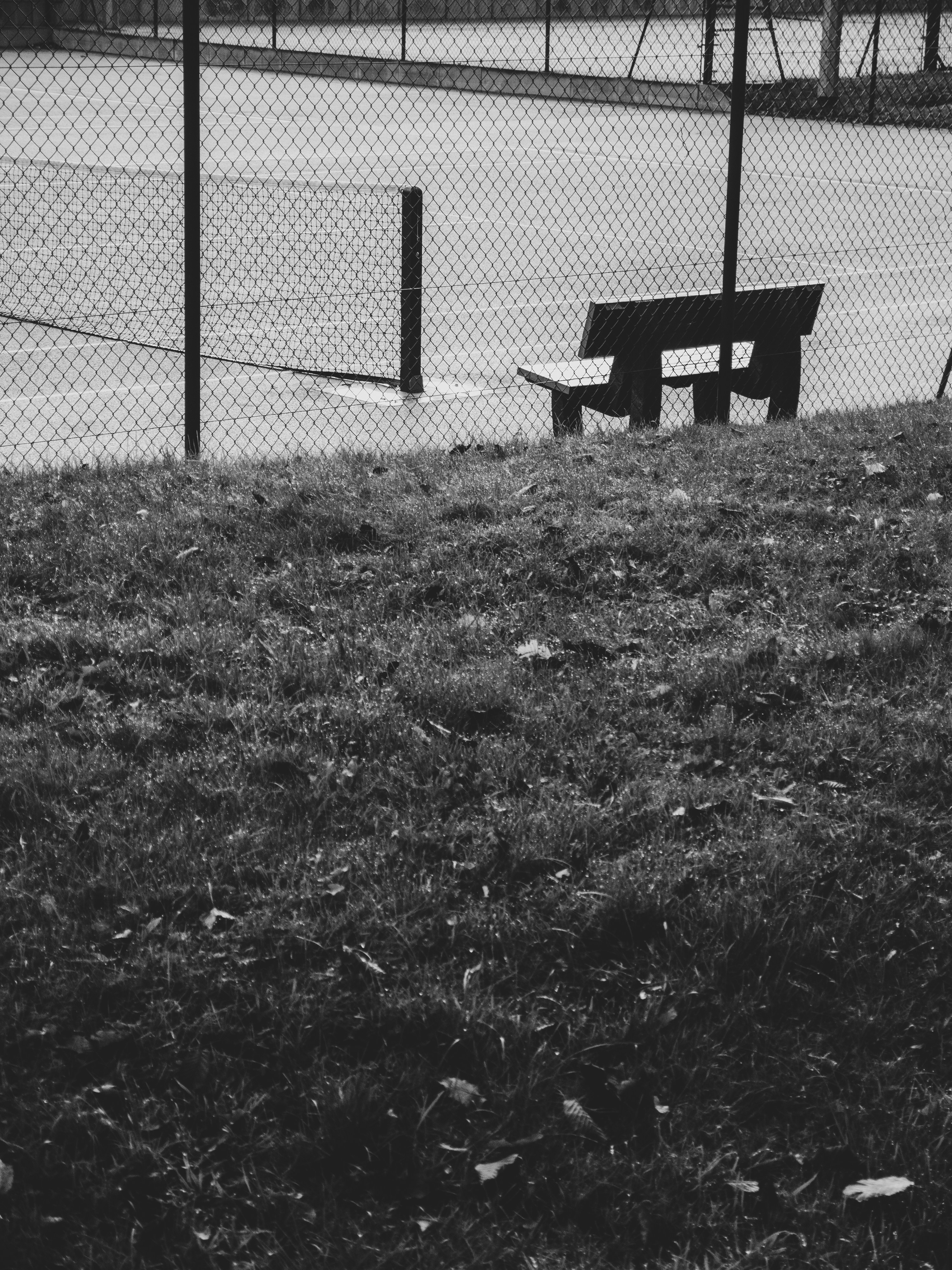 Lonely Bench by the Fence: Quiet Park Edge