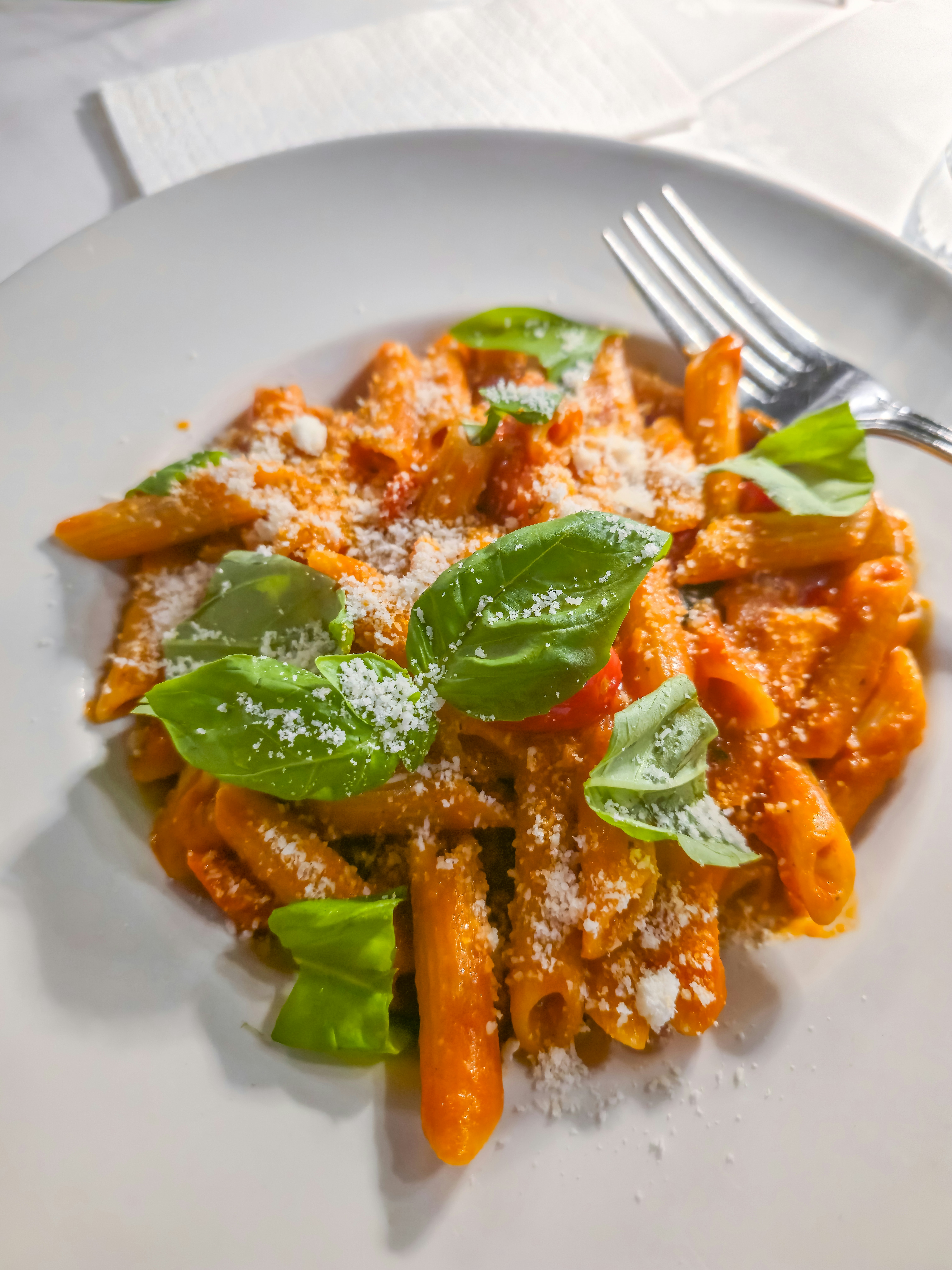Herb-Garnished Orange Penne: Creamy Sauce Cloaked in Parmesan