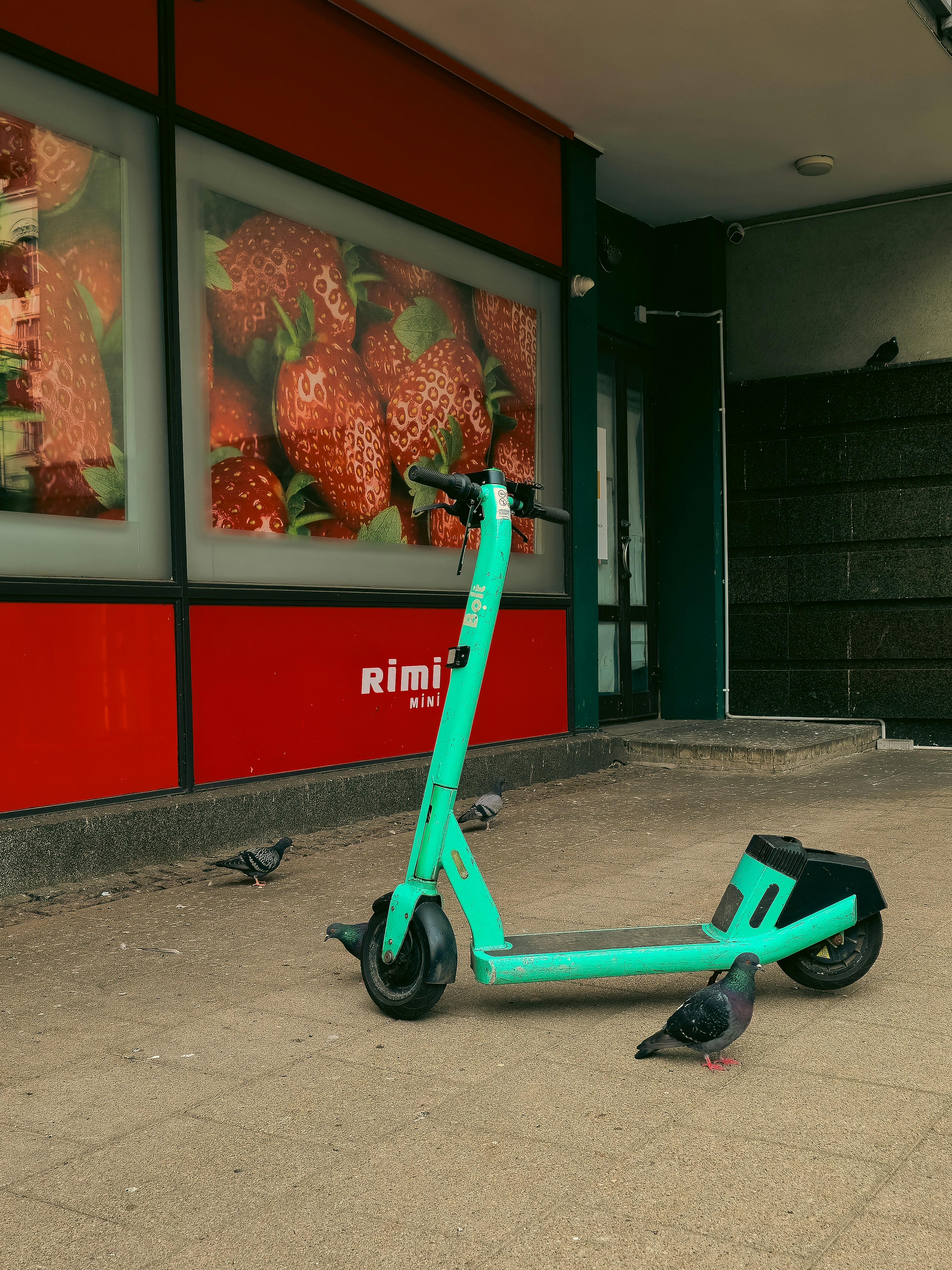 Teal Kickstand: A Street Scooter and a Pigeon in Front of a Fruit-Filled Window