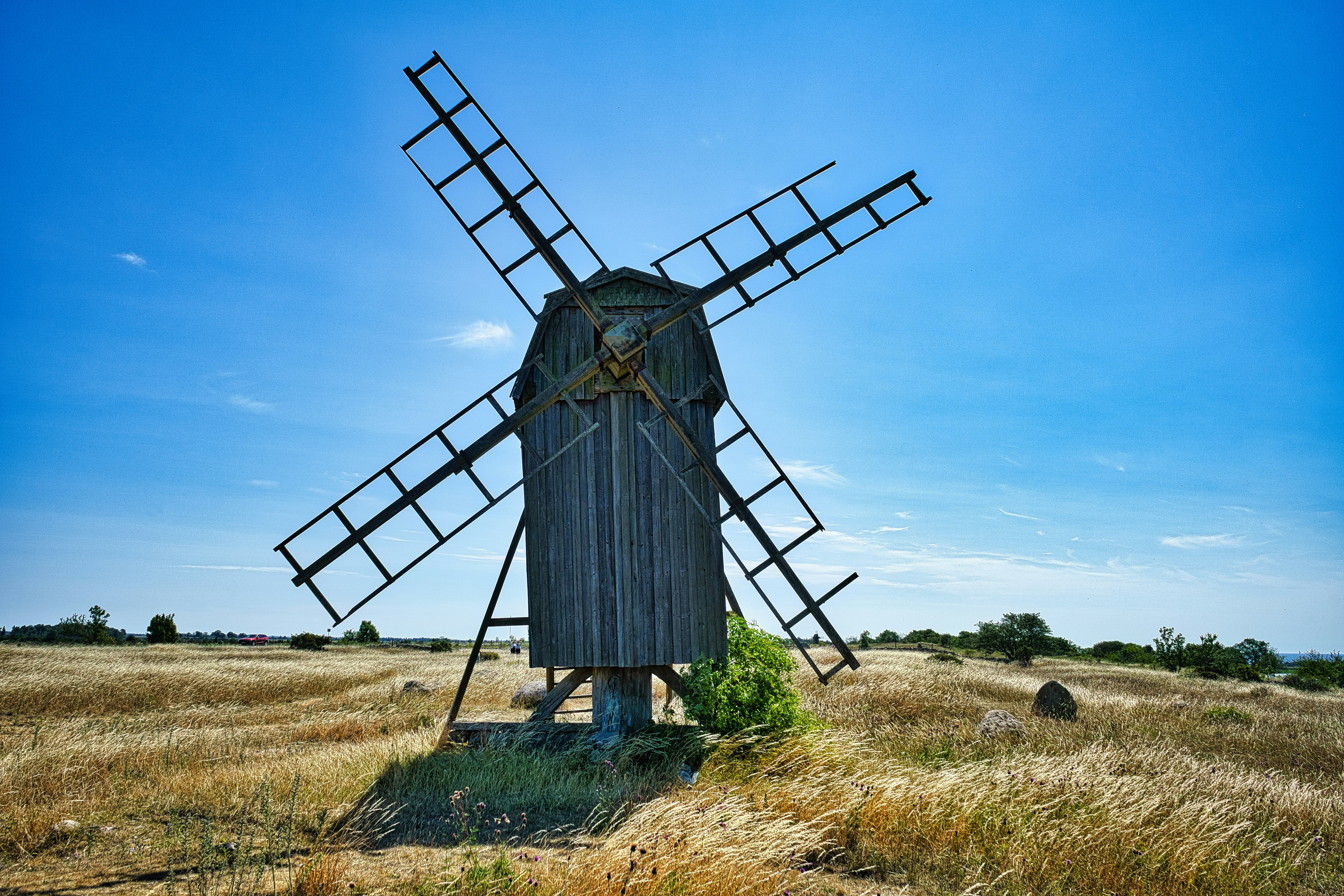 Weathered Windmill Standing Guard Over Golden Plains