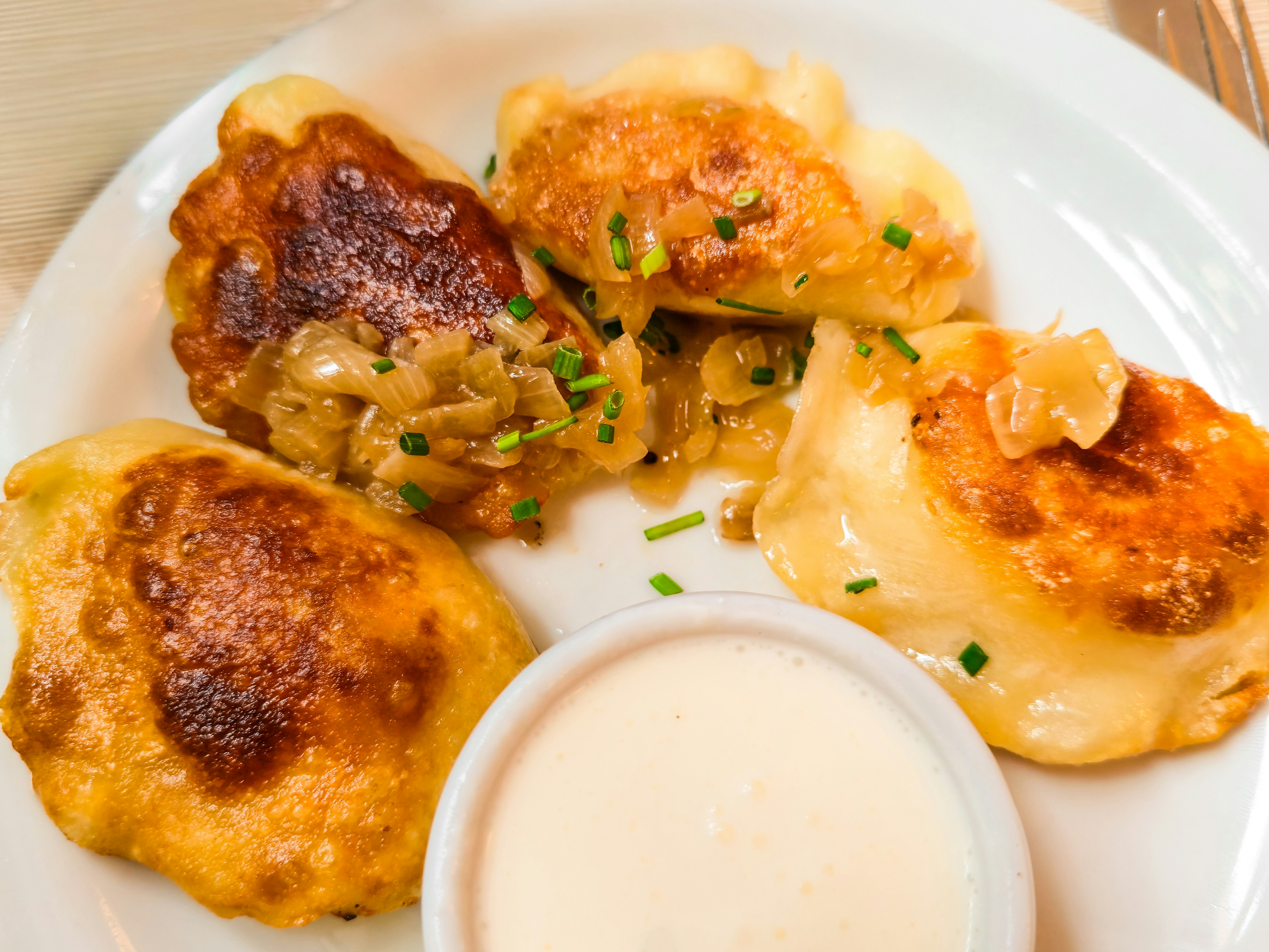 Golden plates: pan-fried dumplings with creamy dip