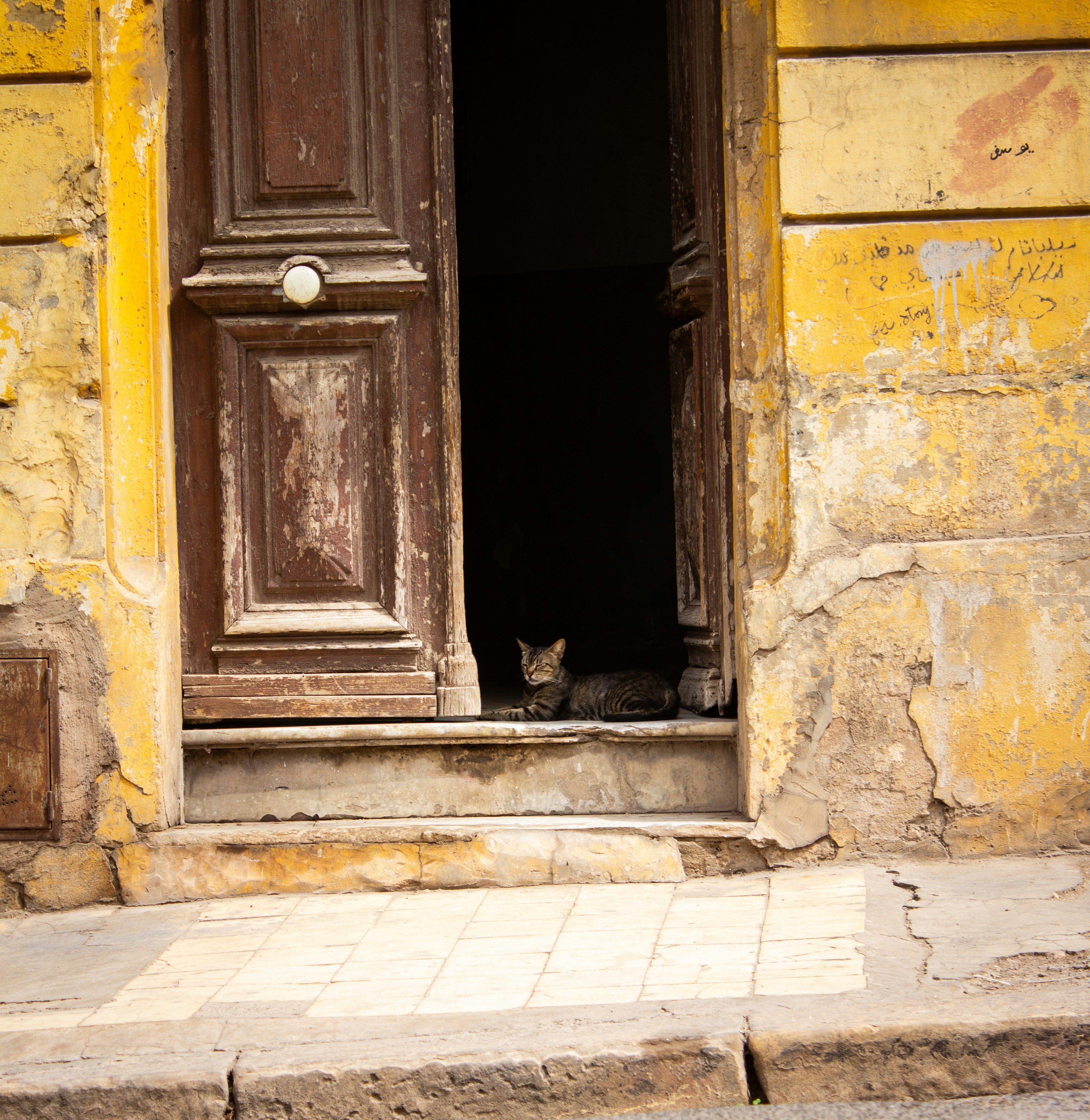 Doorway to a Quiet Catnap