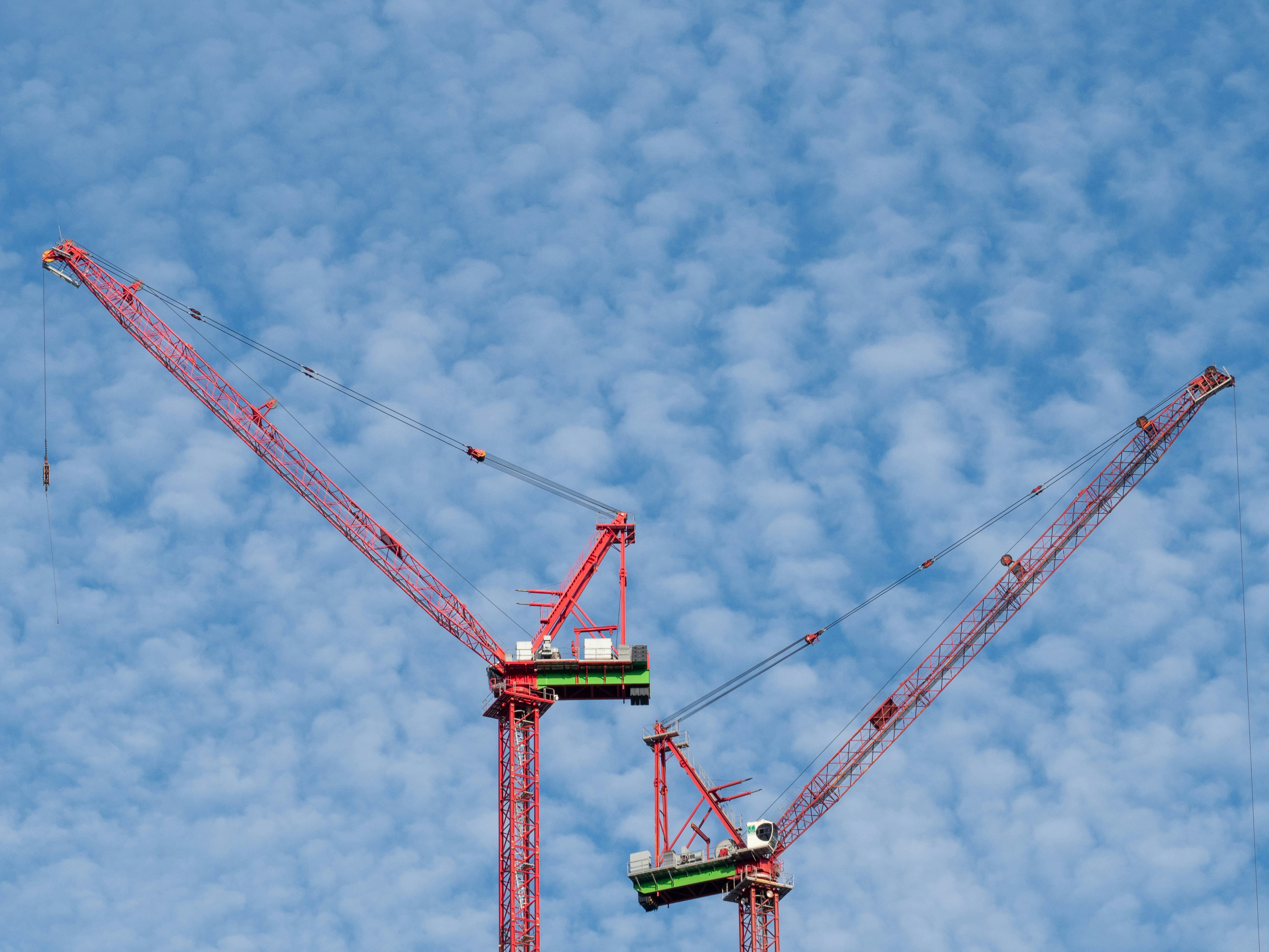 Photo by Wenzy Wong with Olympus PEN E-P7