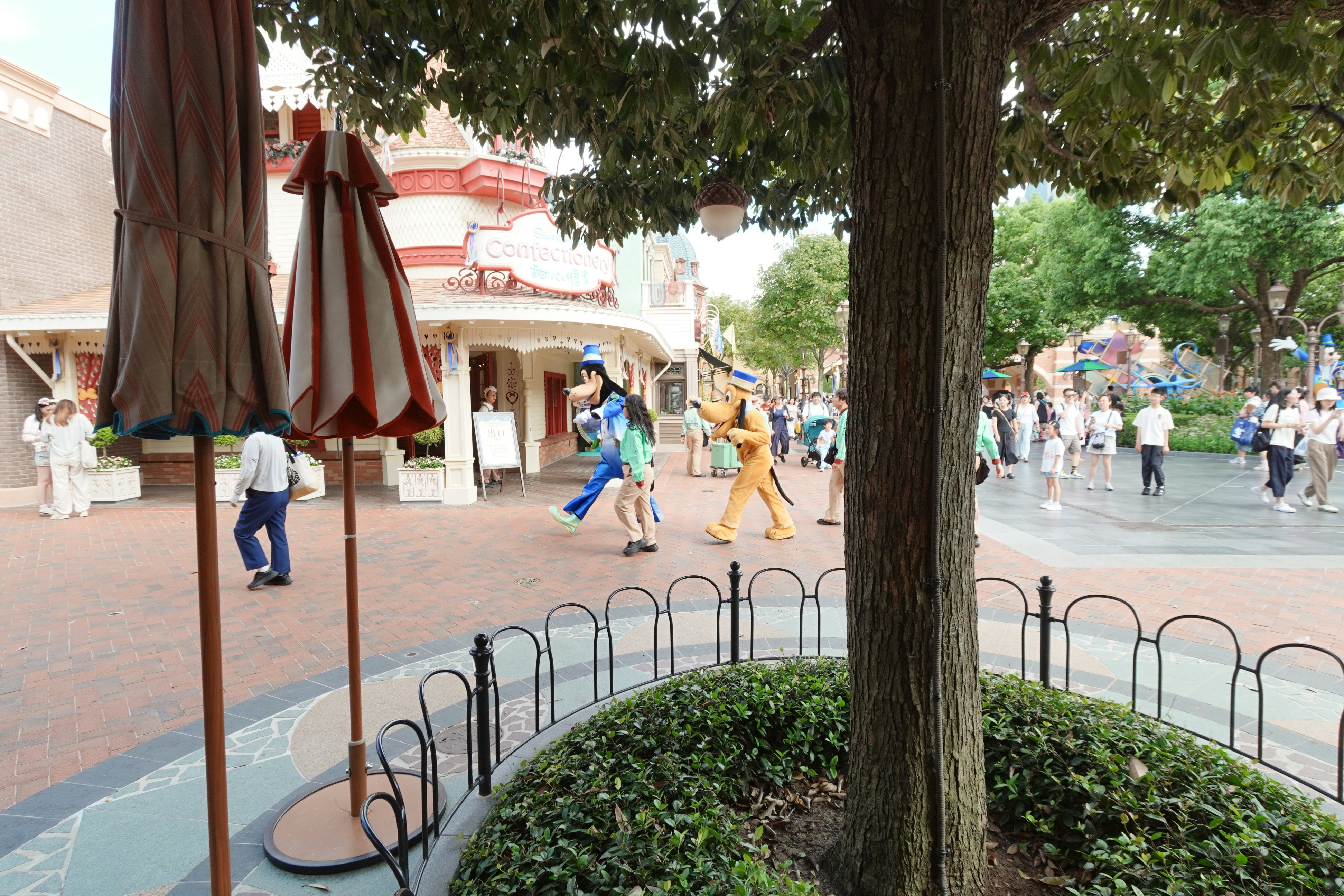 A sunlit pedestrian square with a prominent tree in the foreground; people stroll and perform in the background, creating a lively daily scene in a plaza.