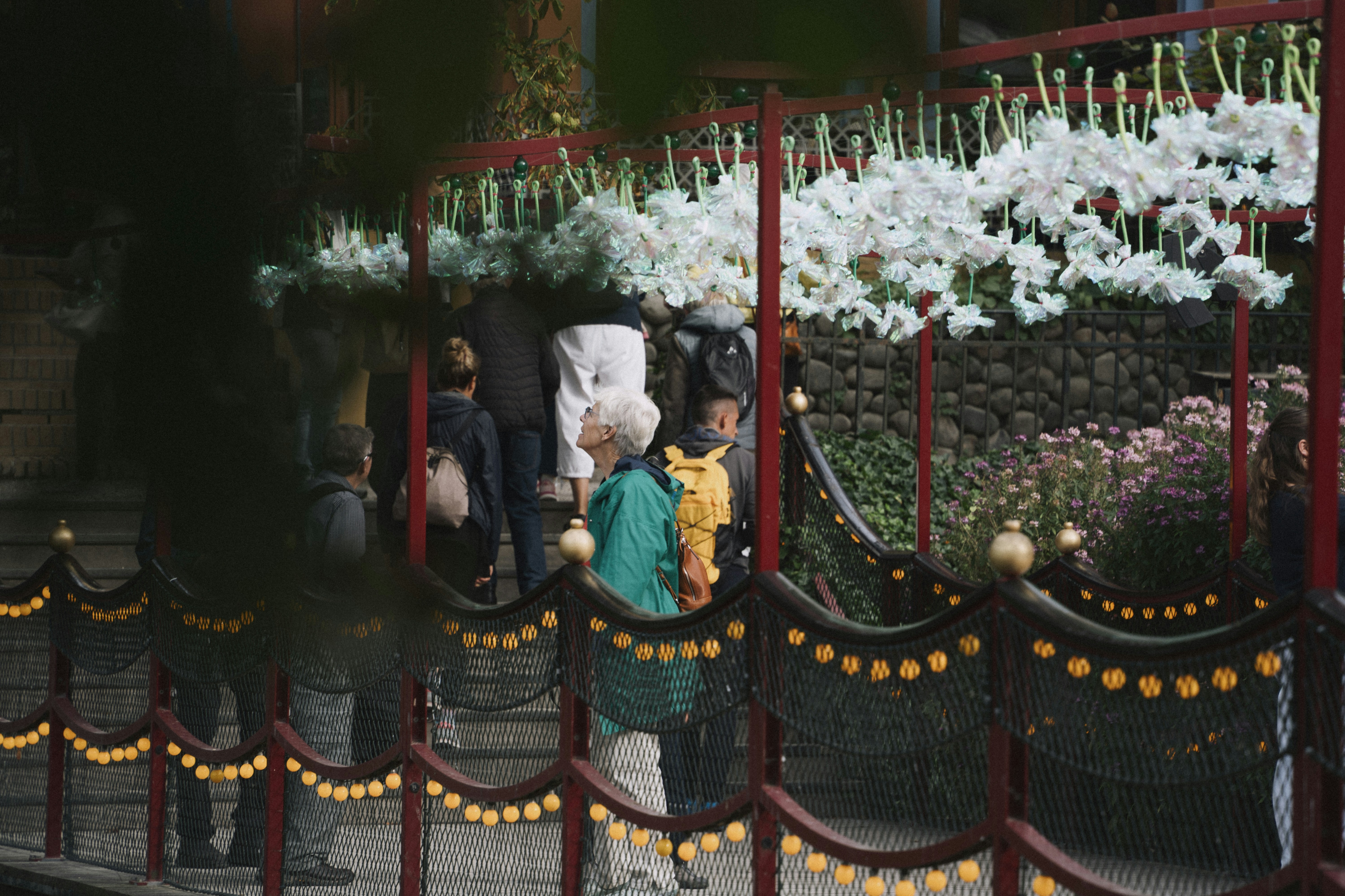 Quiet Queue Under White Blossoms at the Shrine