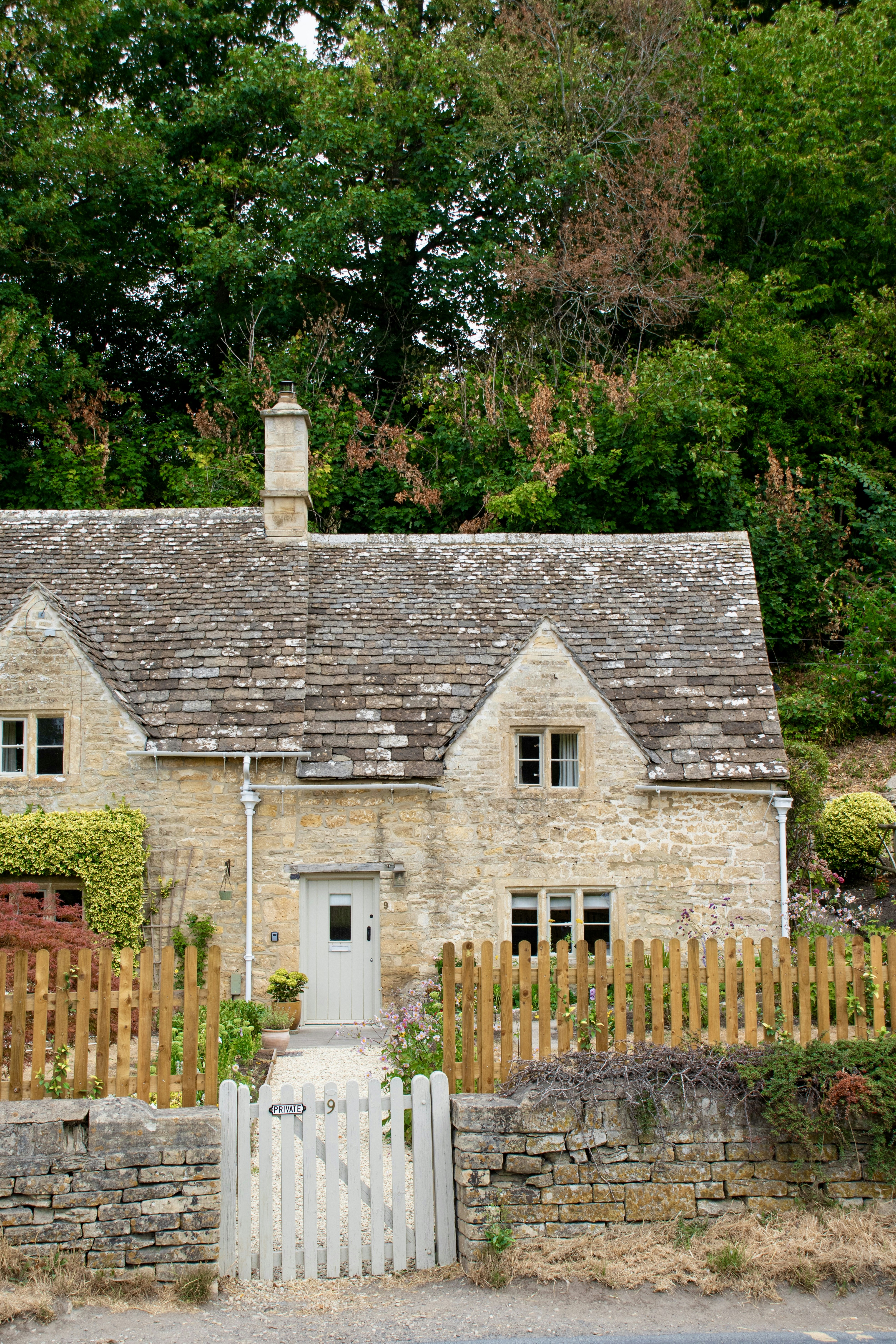 Stone Cottage Under a Verdant Canopy