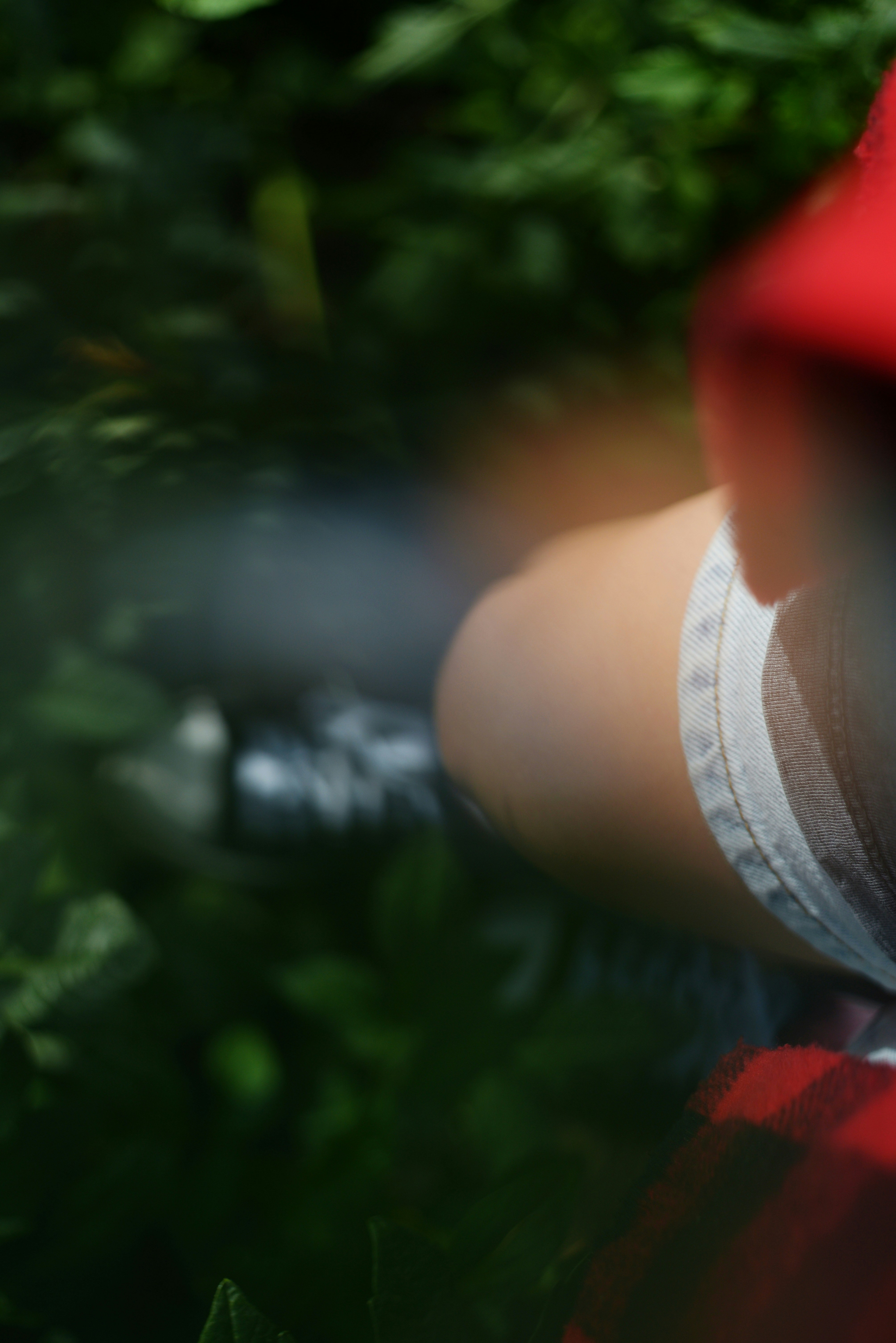 The Edge of Focus: A Soft Portrait in a Hushed Green Frame