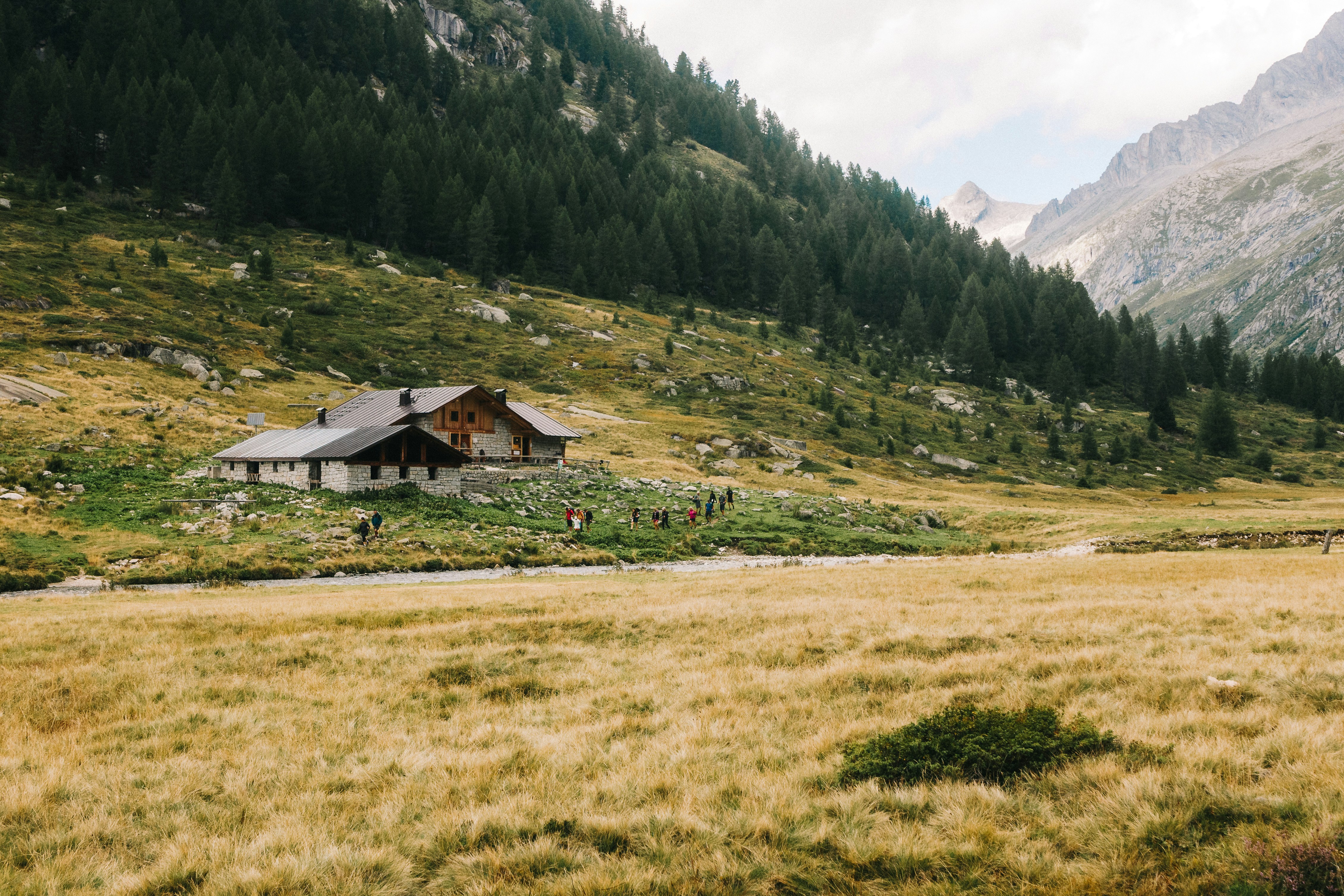 Alpine Refuge by the Meadow: A Rustic Lodge Surrounded by Fell and Forest