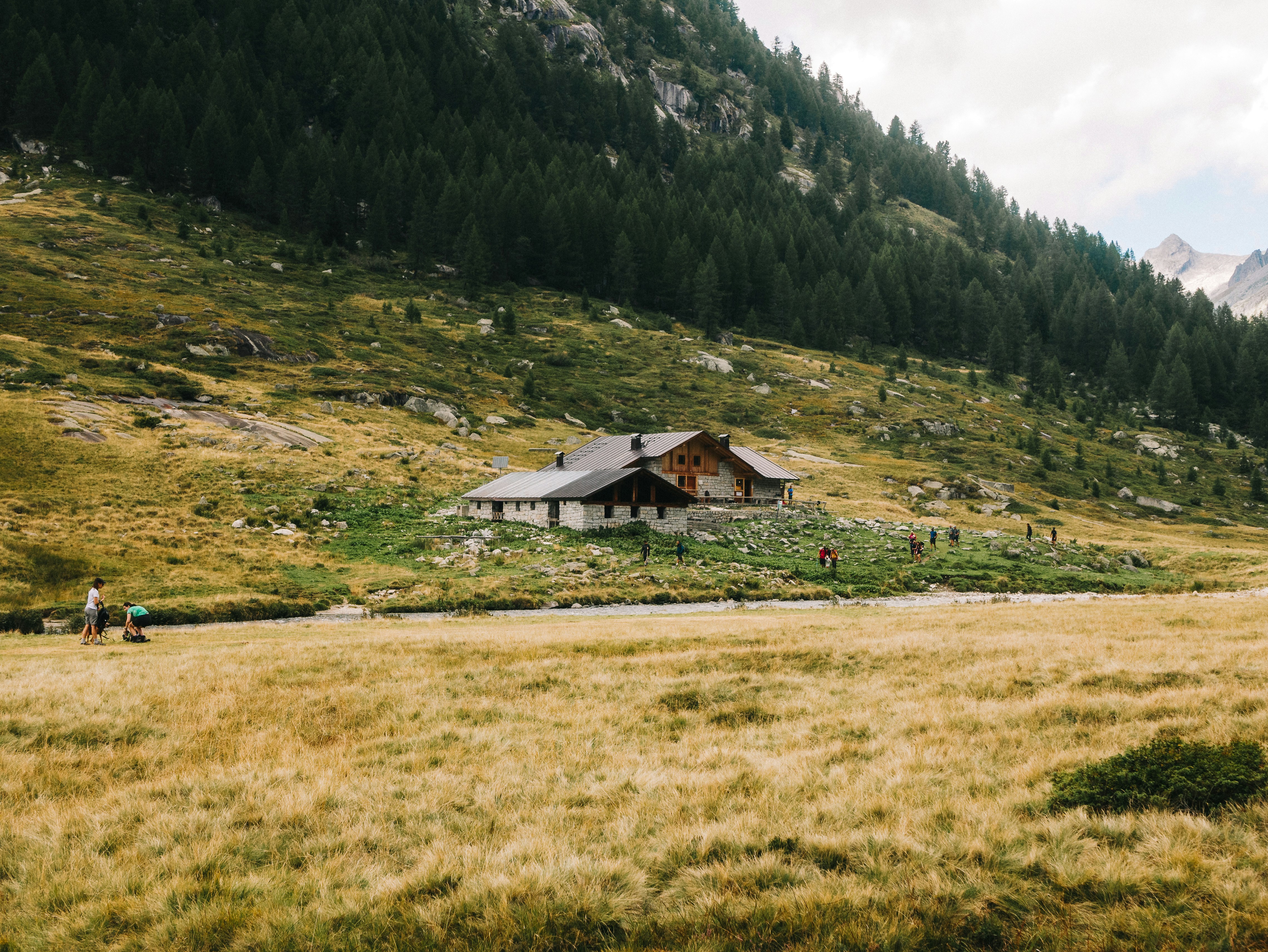 Humble Mountain Cabin Amid Golden Grass