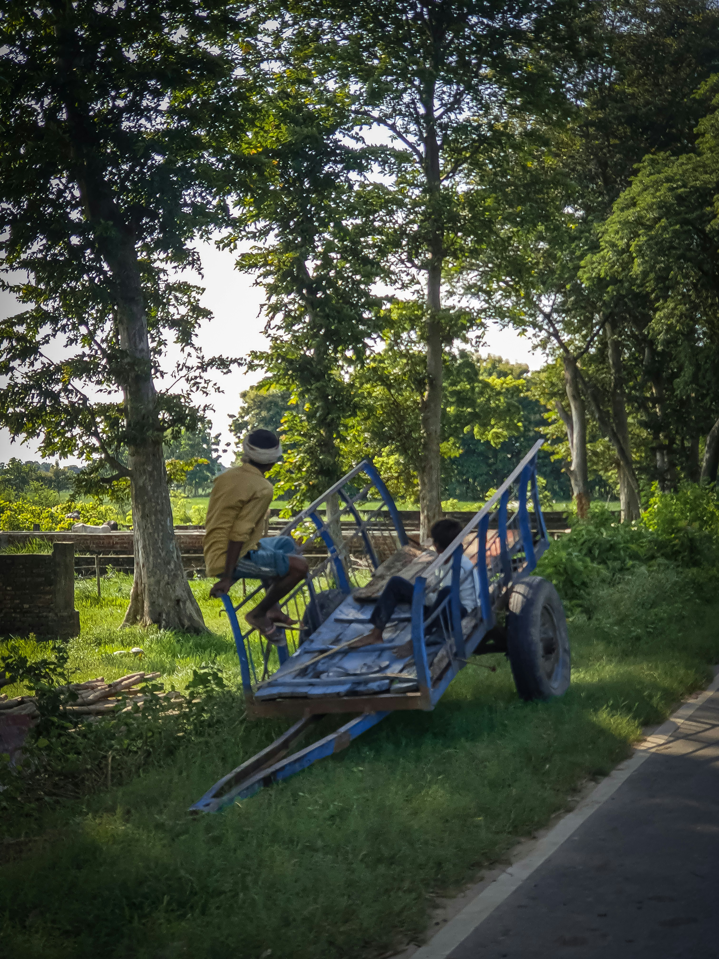 Blue wagon under the trees: a quiet roadside scene with a worker atop the cart