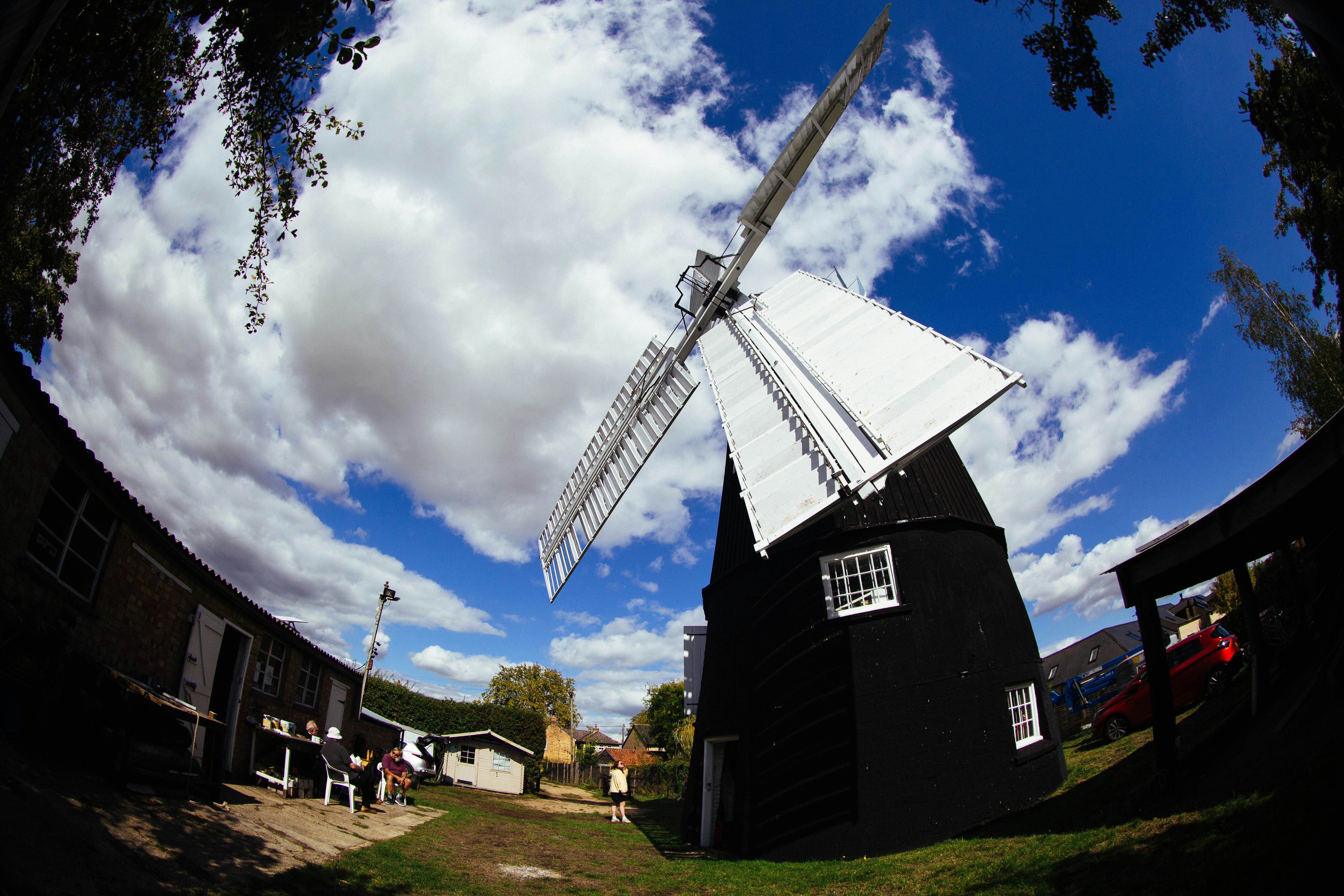 Windmill at the Farmyard: A Wide-Eyed Spin Through a Sunny Frame