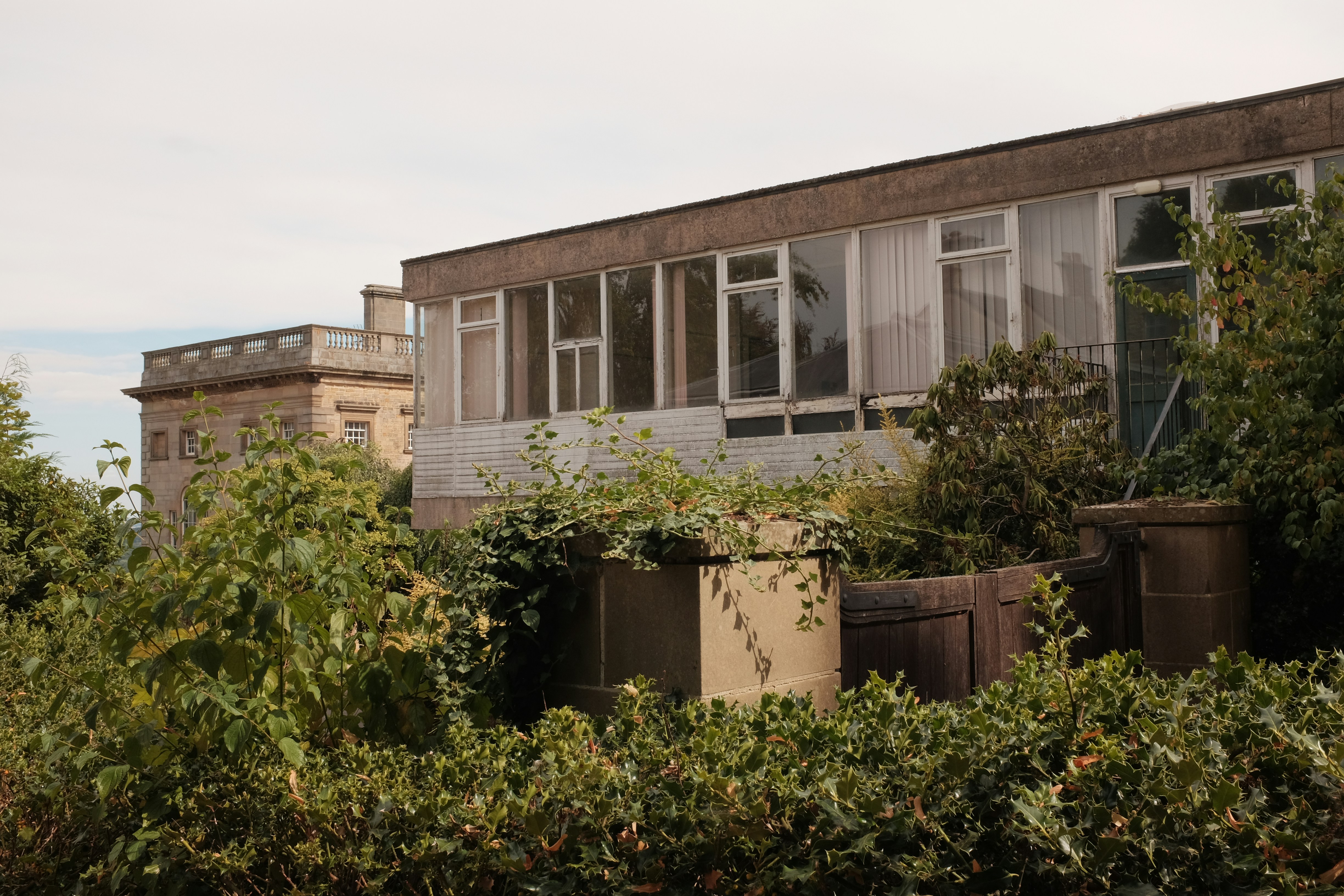 Overgrown Terrace: A Quiet Facade Behind Verdant Vines