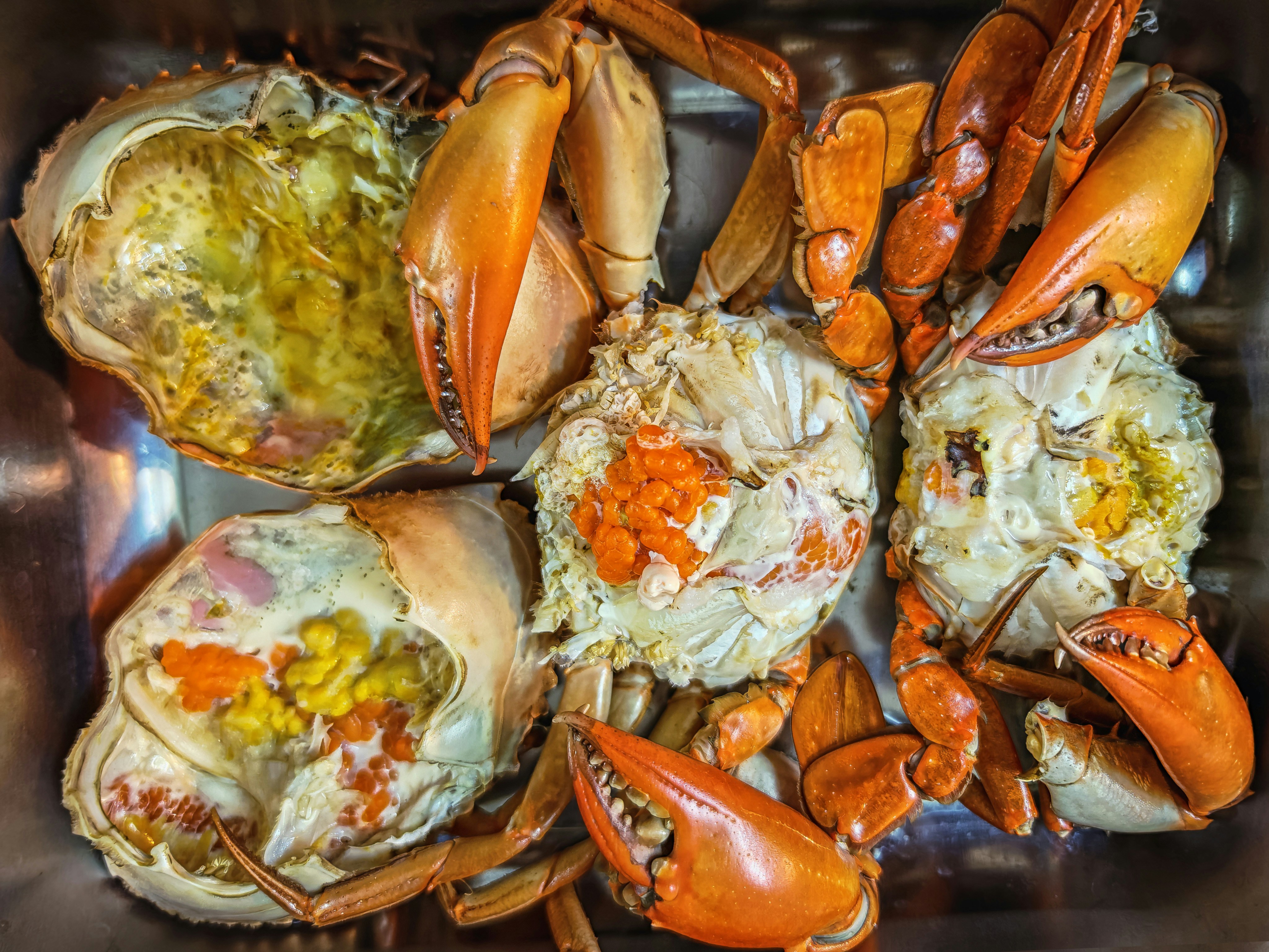 Culinary Crustacean Assembly: Crab Halves and Claws in a Shiny Tray