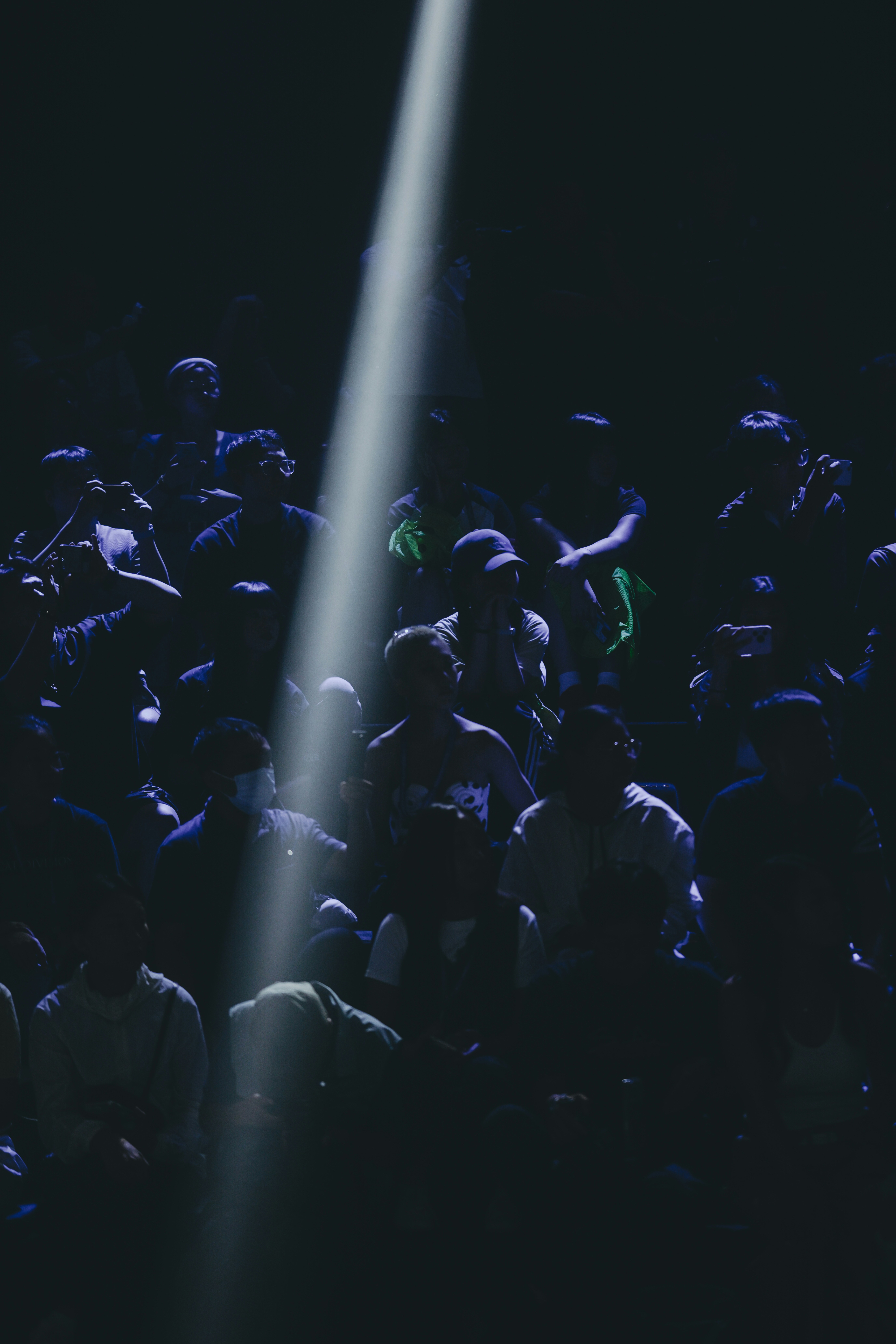 Spotlight on the Silent Crowd