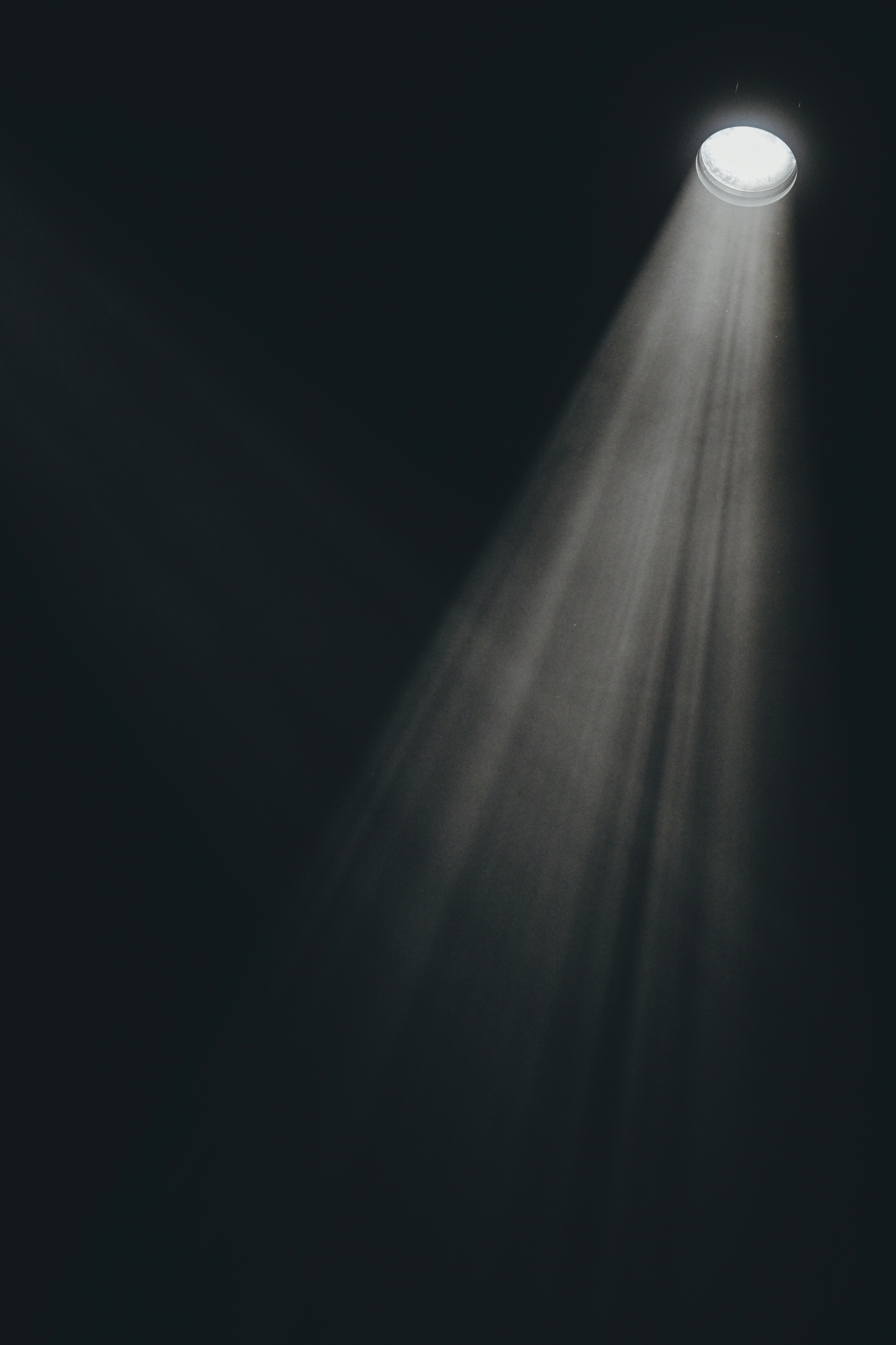 Spotlight in the Abyss: A lone halo in a dark theater