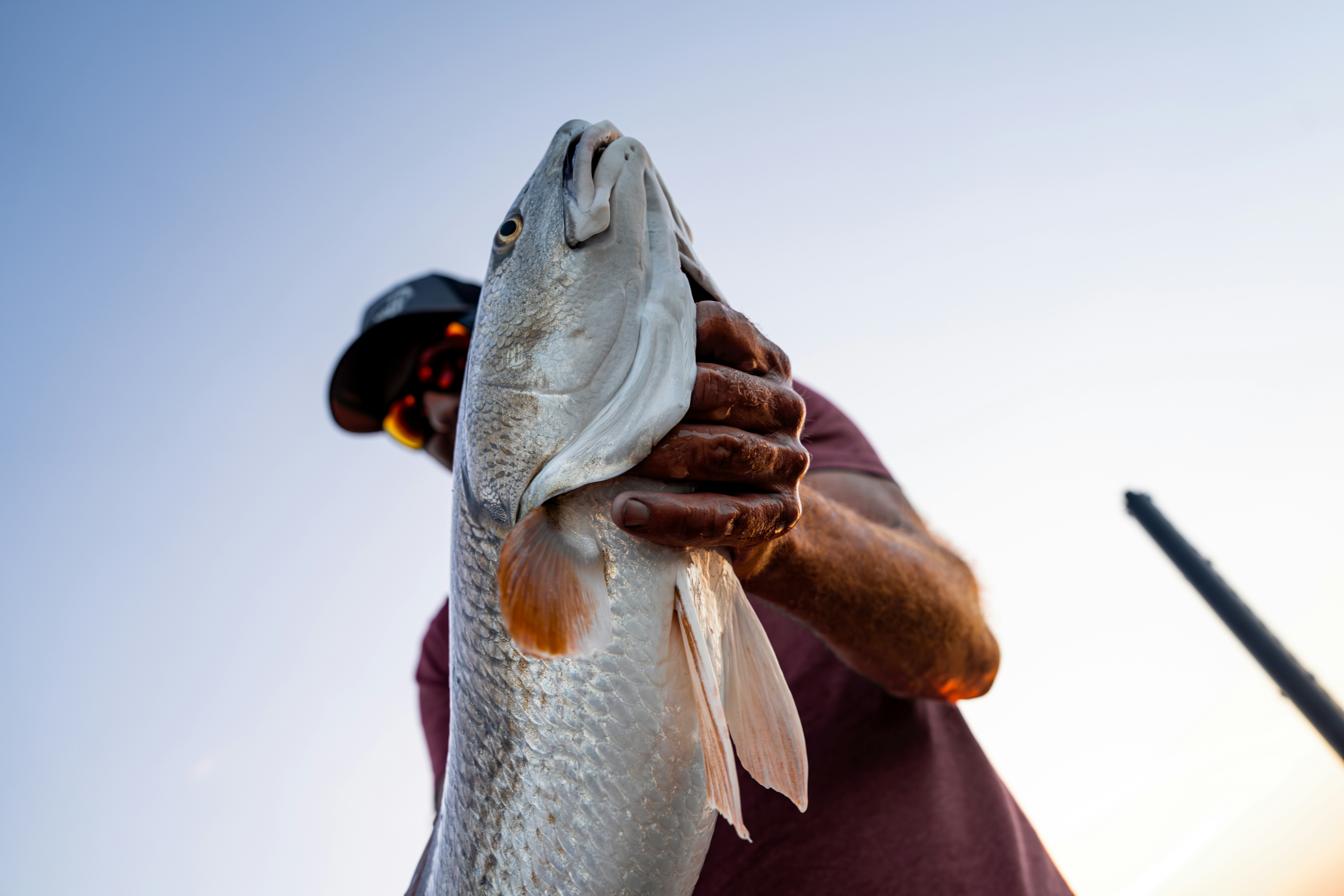 Under-Handed Triumph: A First Glow of Catch
