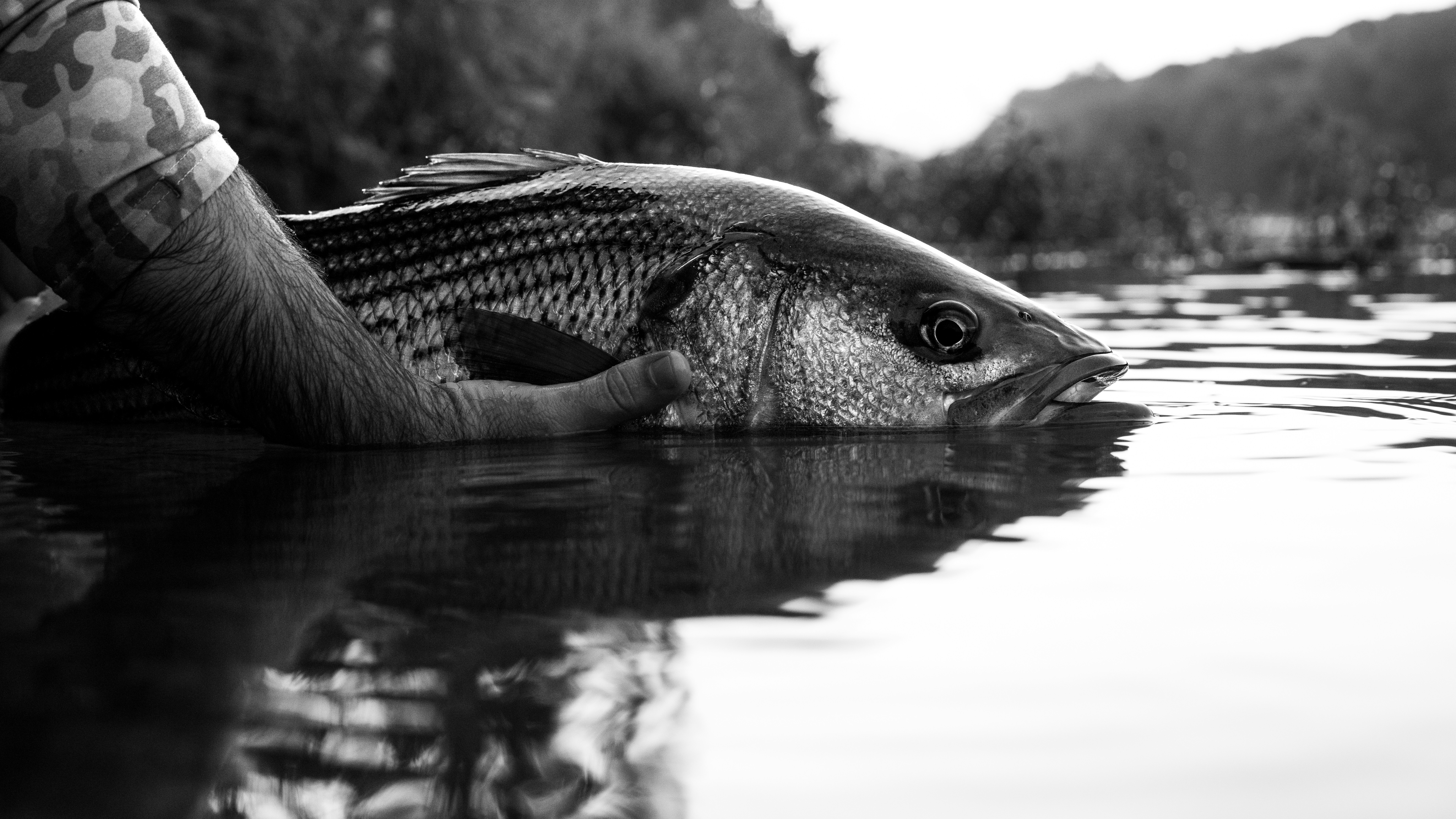 Caught in the Moment: A Hand-Grasped Catch near Calm Waters