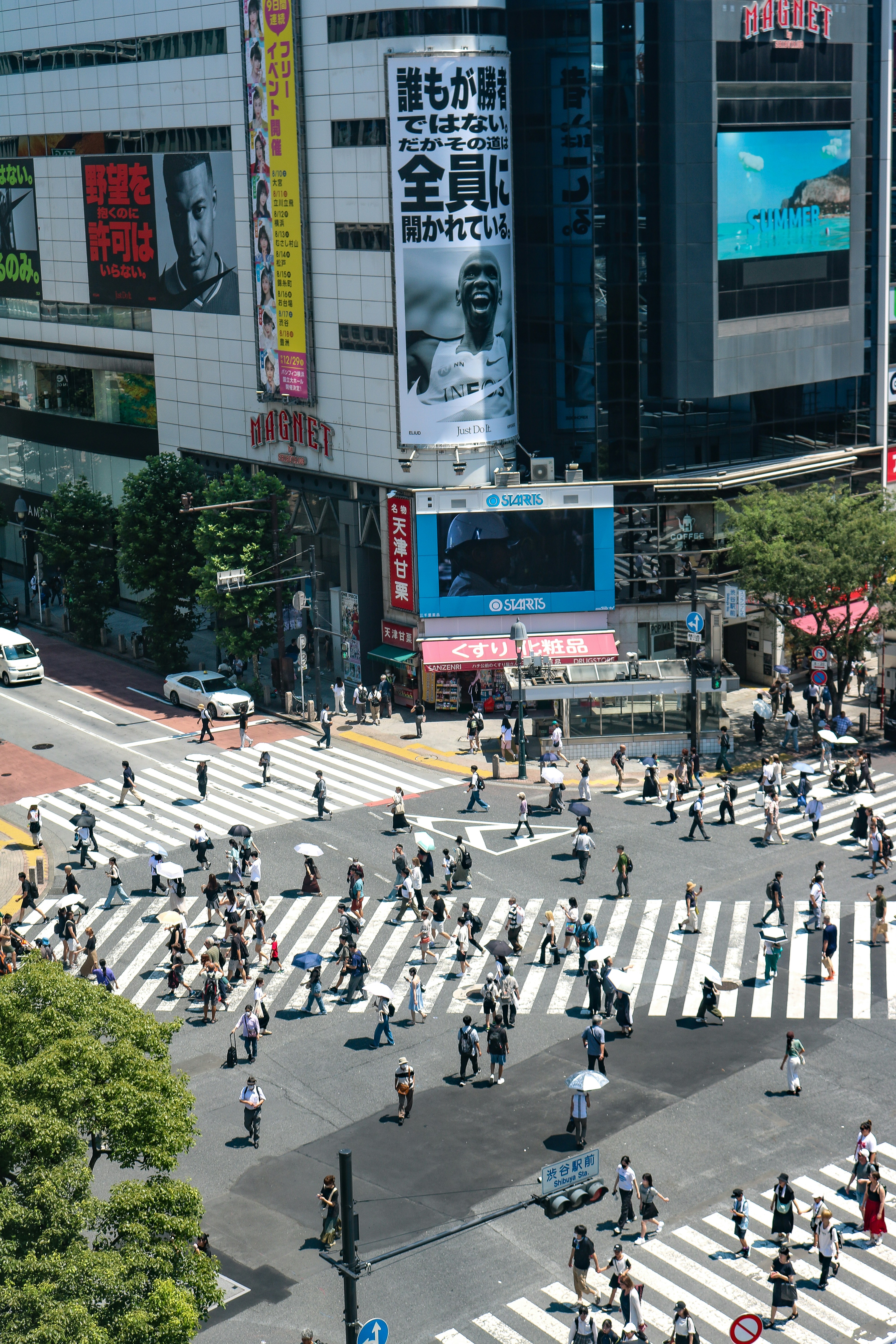Crosswalk Pulse: A Bird’s-Eye Slice of Shibuya’s Street Symmetry