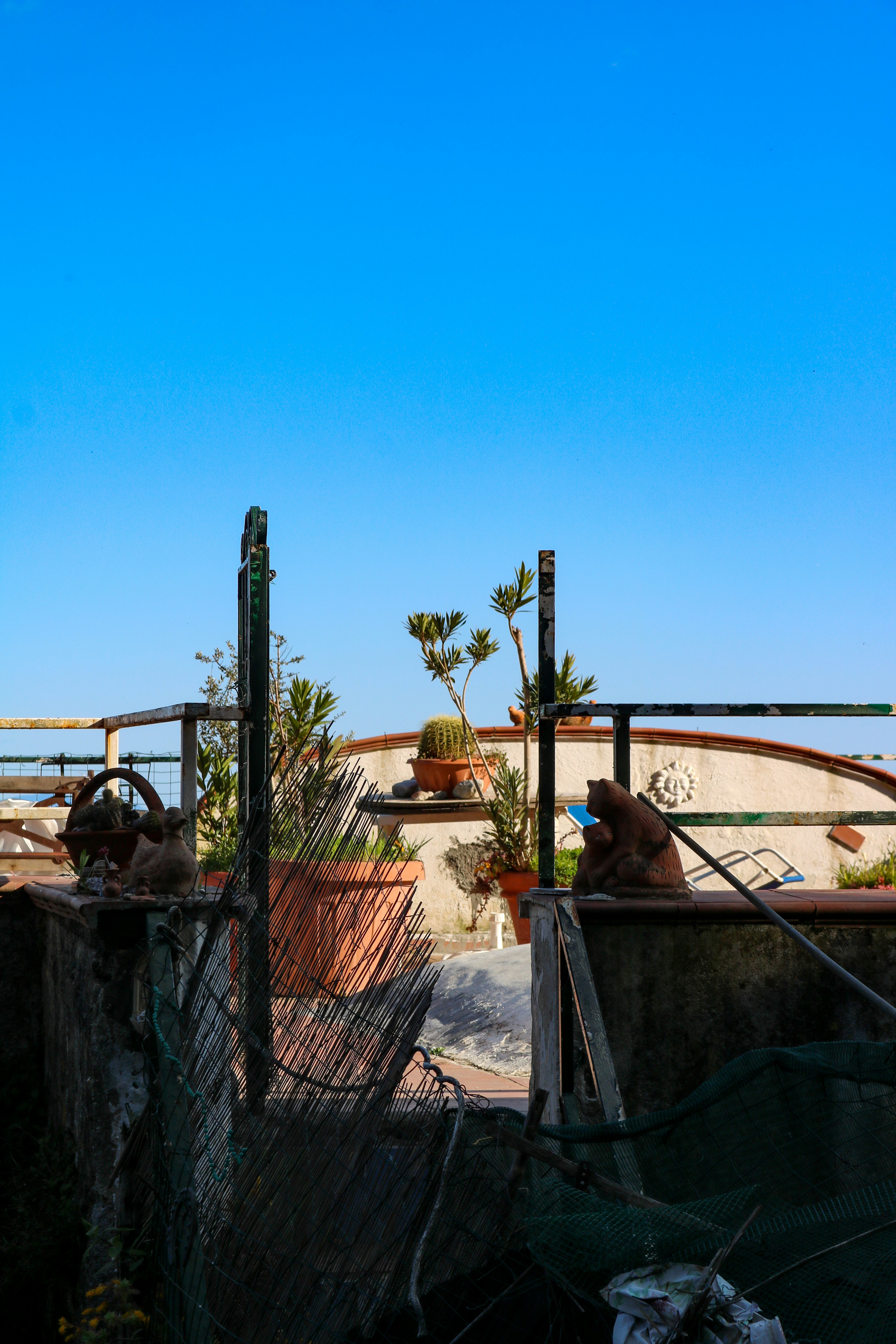 Rooftop Garden Between Framing Rails