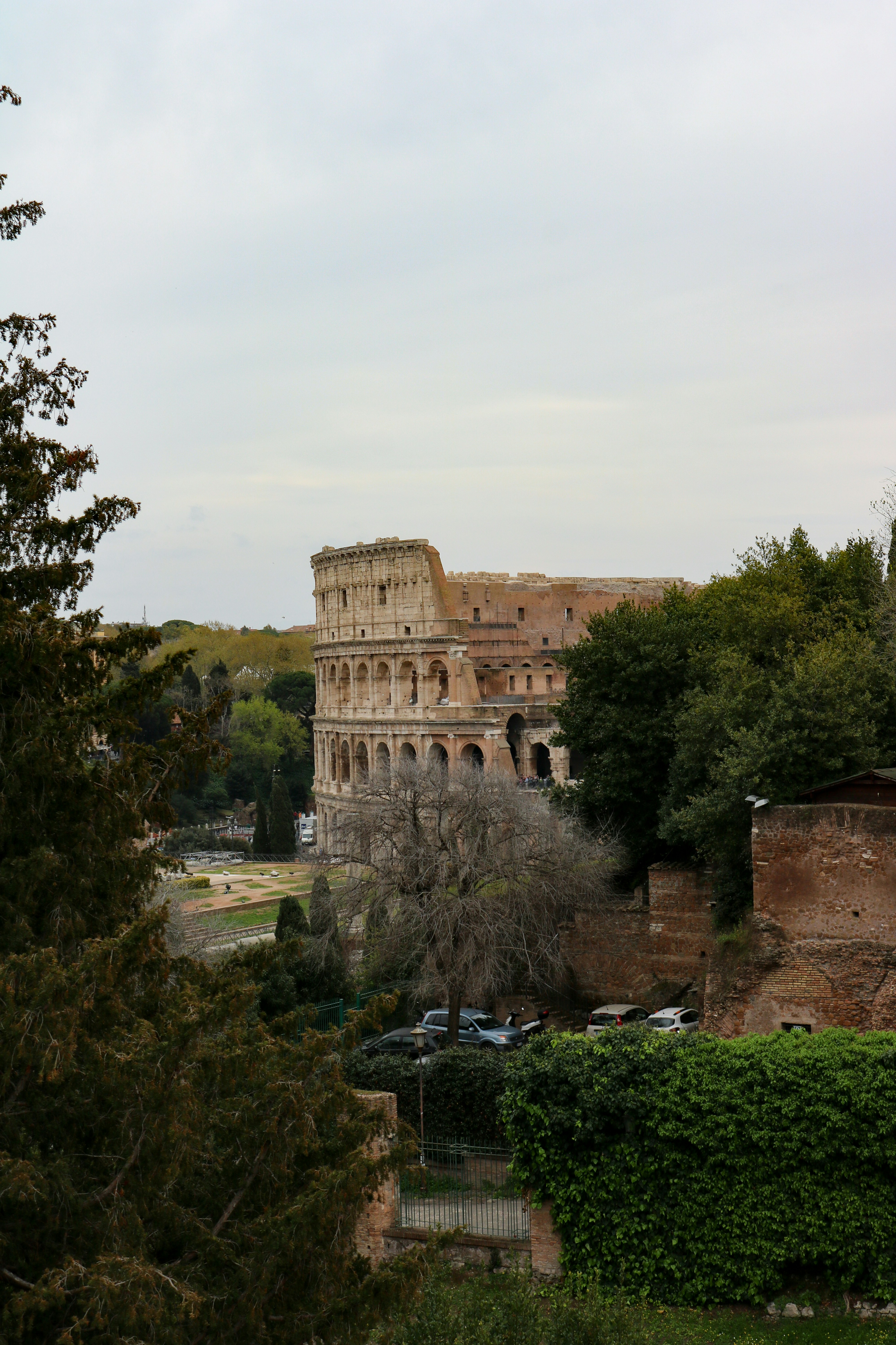 The Ancient Colossus Bordered by Tuscan Trees