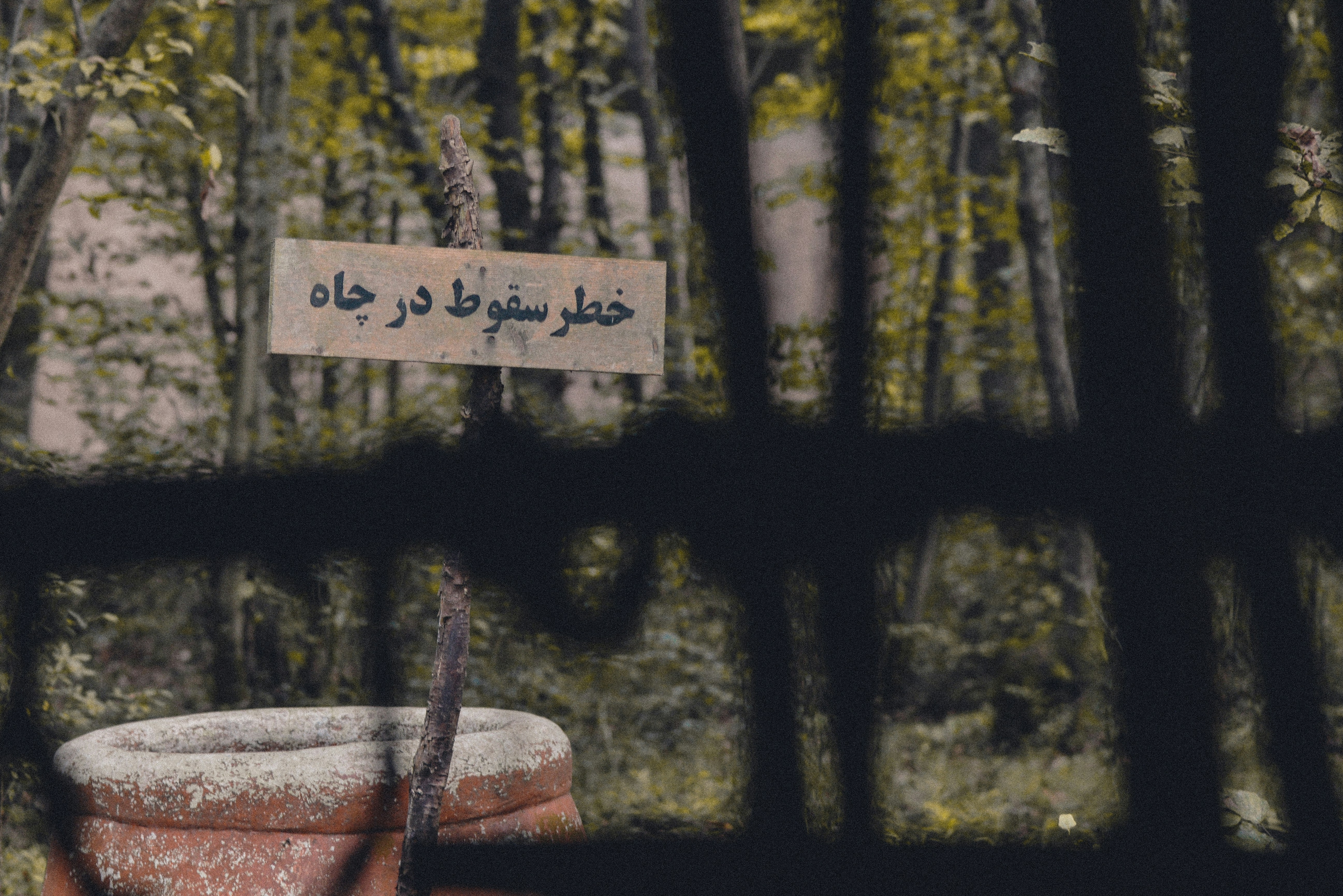 Photo by Mota Ehdaei with Nikon D800