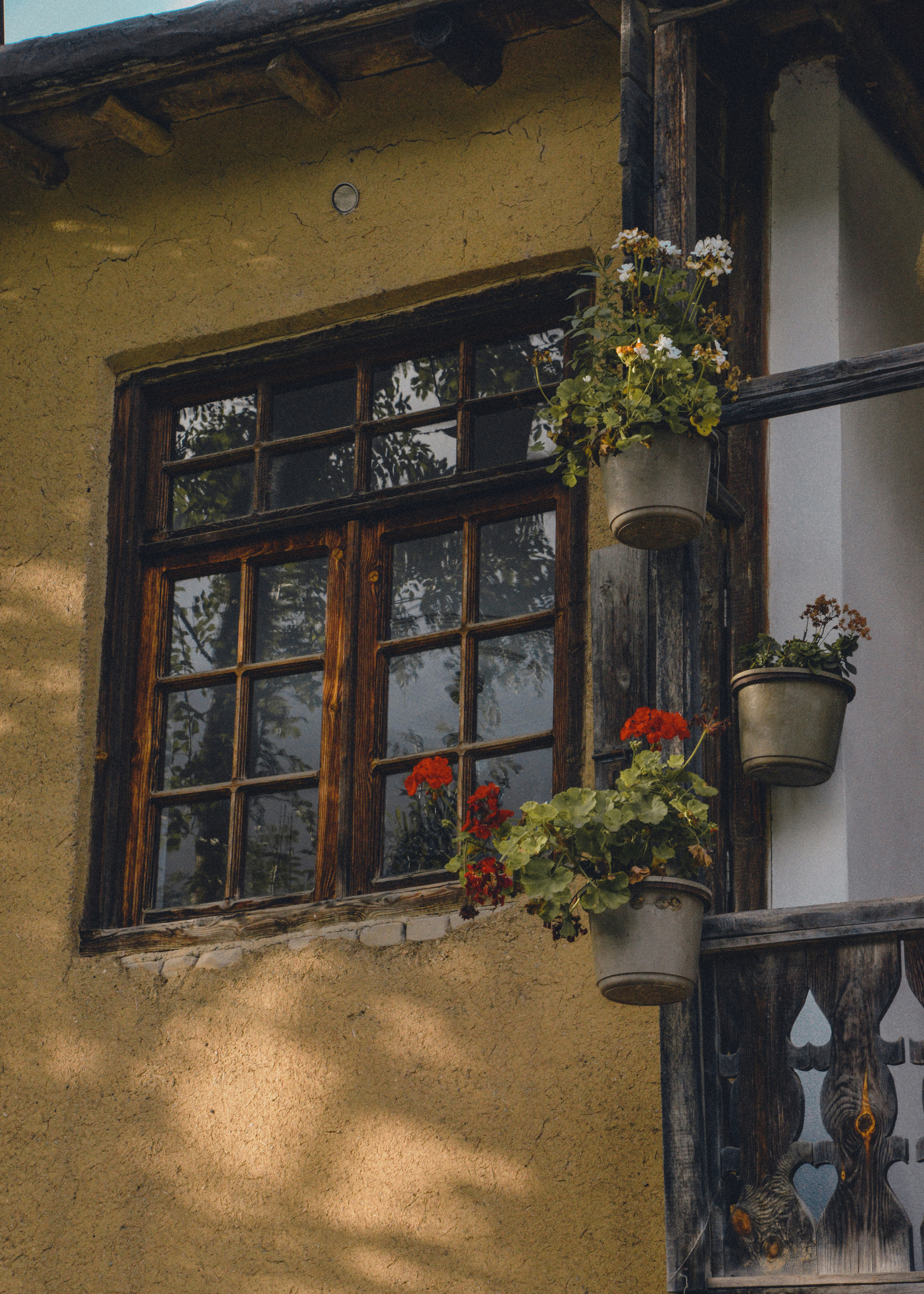 Sunlit Terrace: Flower Pots Cling to an Old Wooden Window