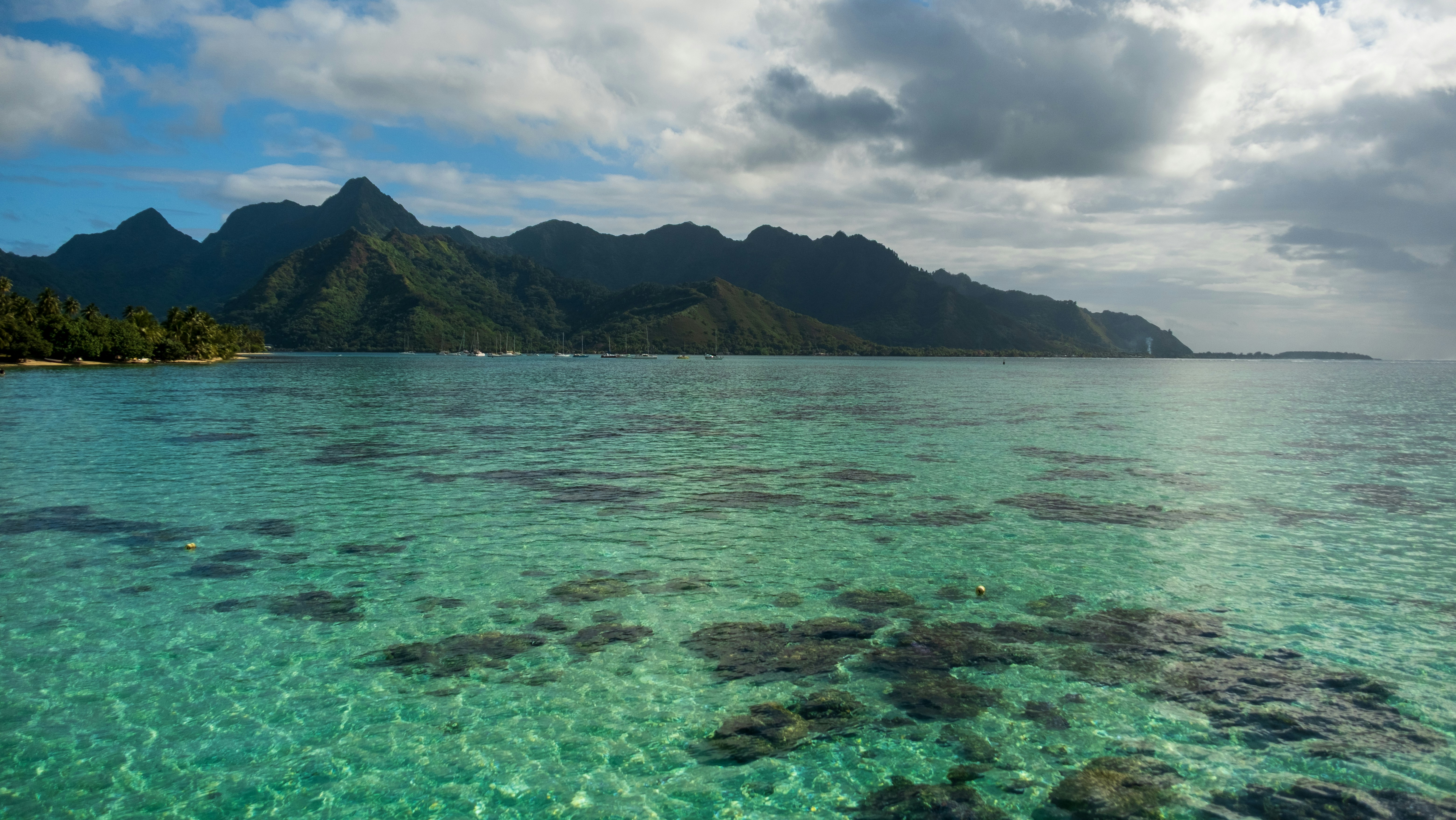 Emerald Waters at Coral Ridge