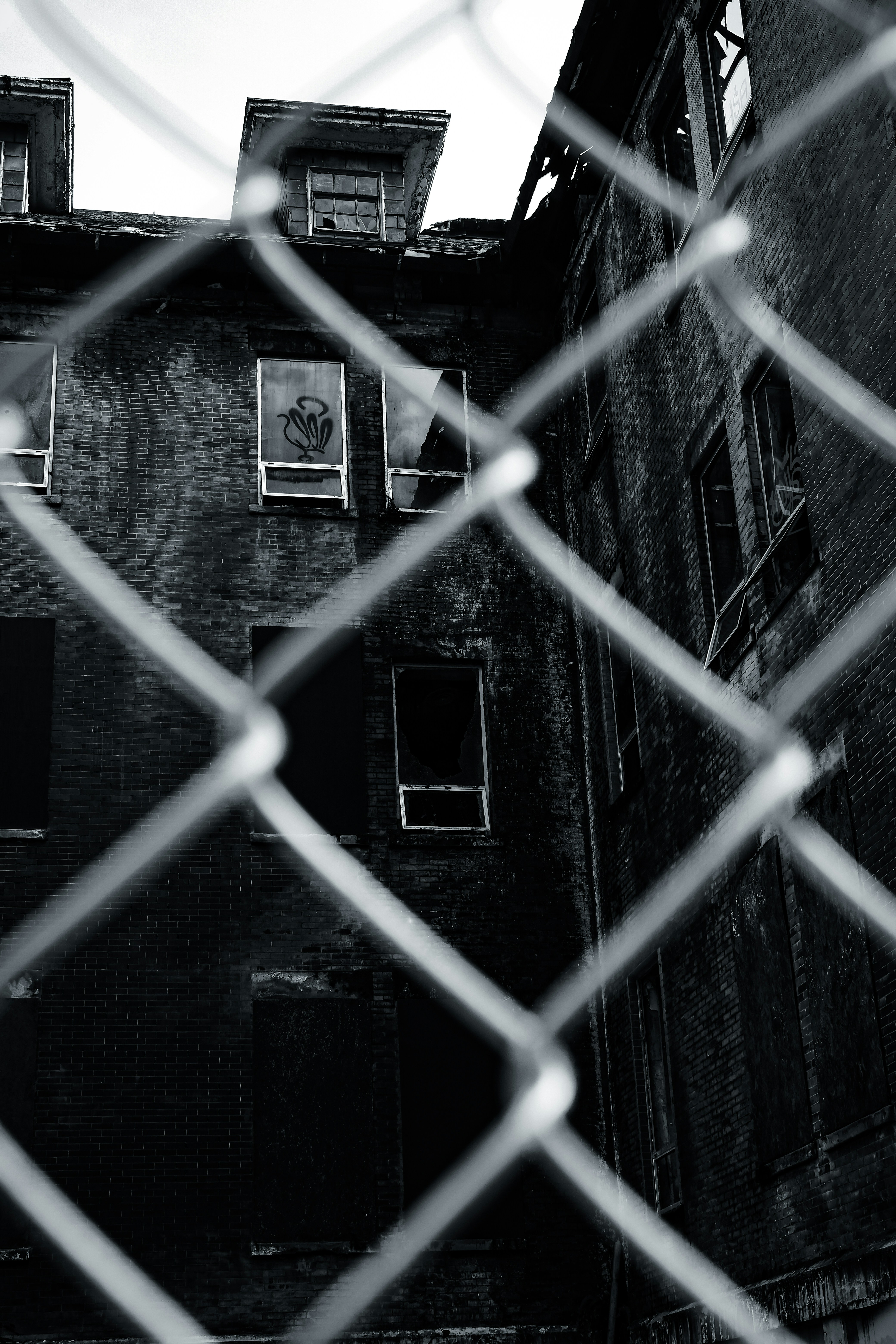 Chain-link Anchor: A Quiet Grit in the Brick Courtyard